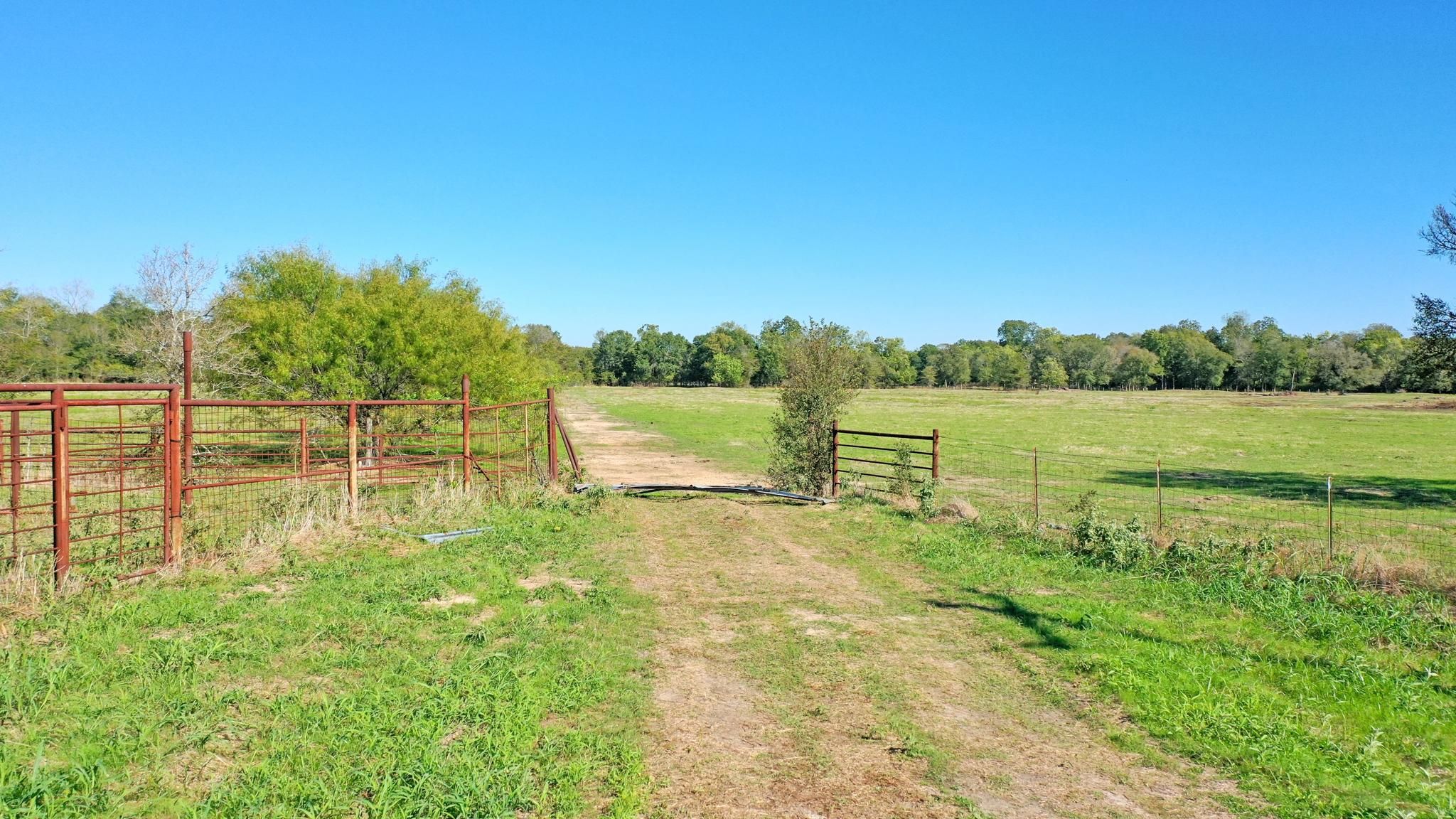 Farm to Market Road 2548, Midway, TX 75852 | MLS: 34541765 | Land.com