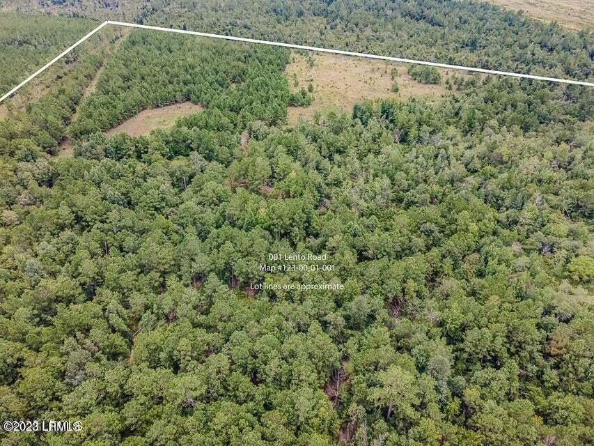52.98 acres in Hampton County, South Carolina