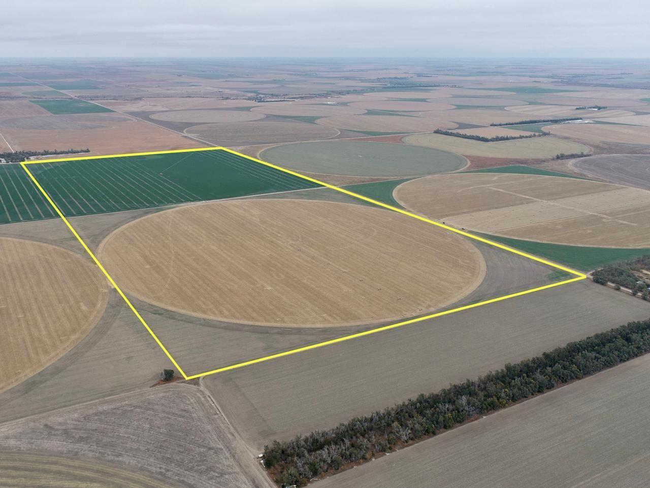 317.3 acres in Fowler, KS, 66844 | Land.com