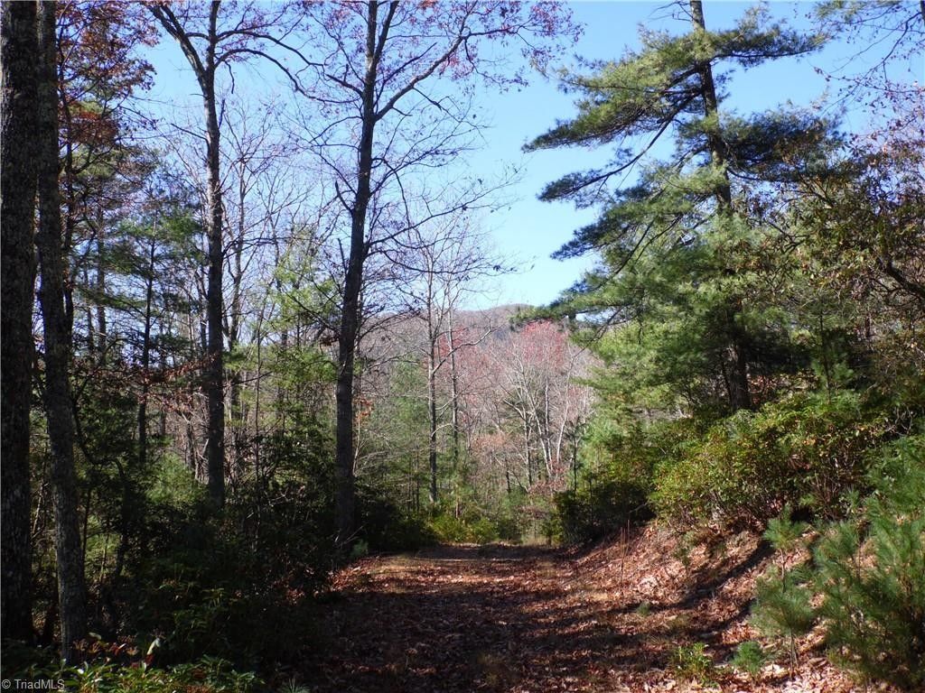 7.83 acres in Grayson County, Virginia