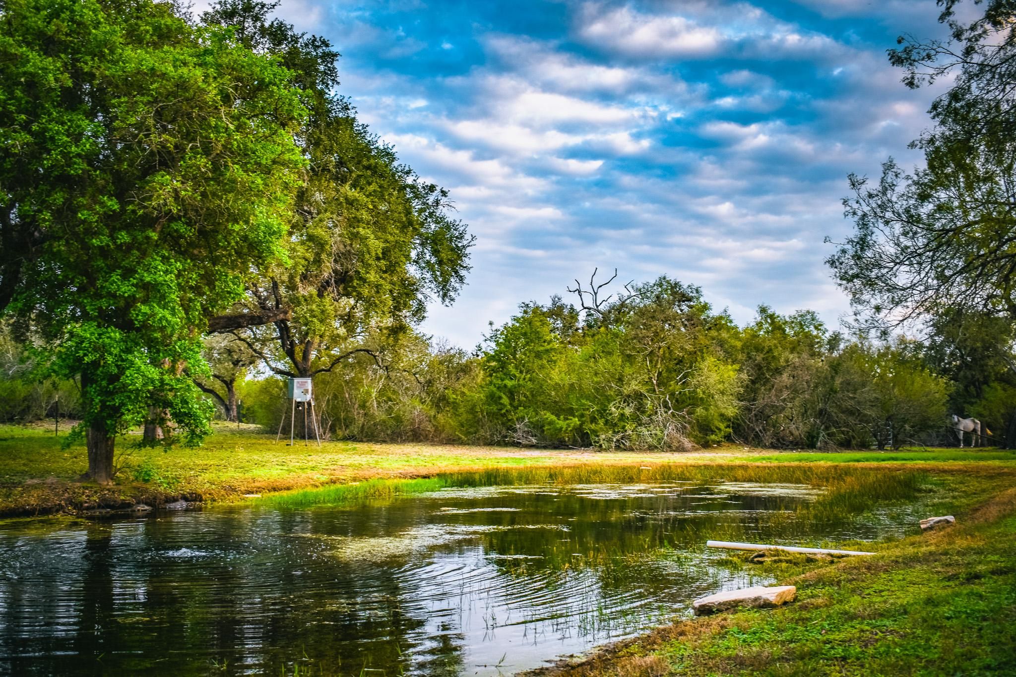 9286 FM 2617, Pettus, TX 78146 | MLS: 1729694 | Land.com