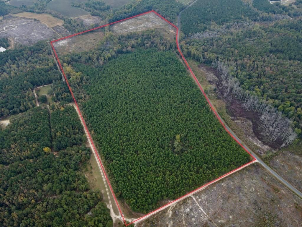 89 acres in Anson County, North Carolina