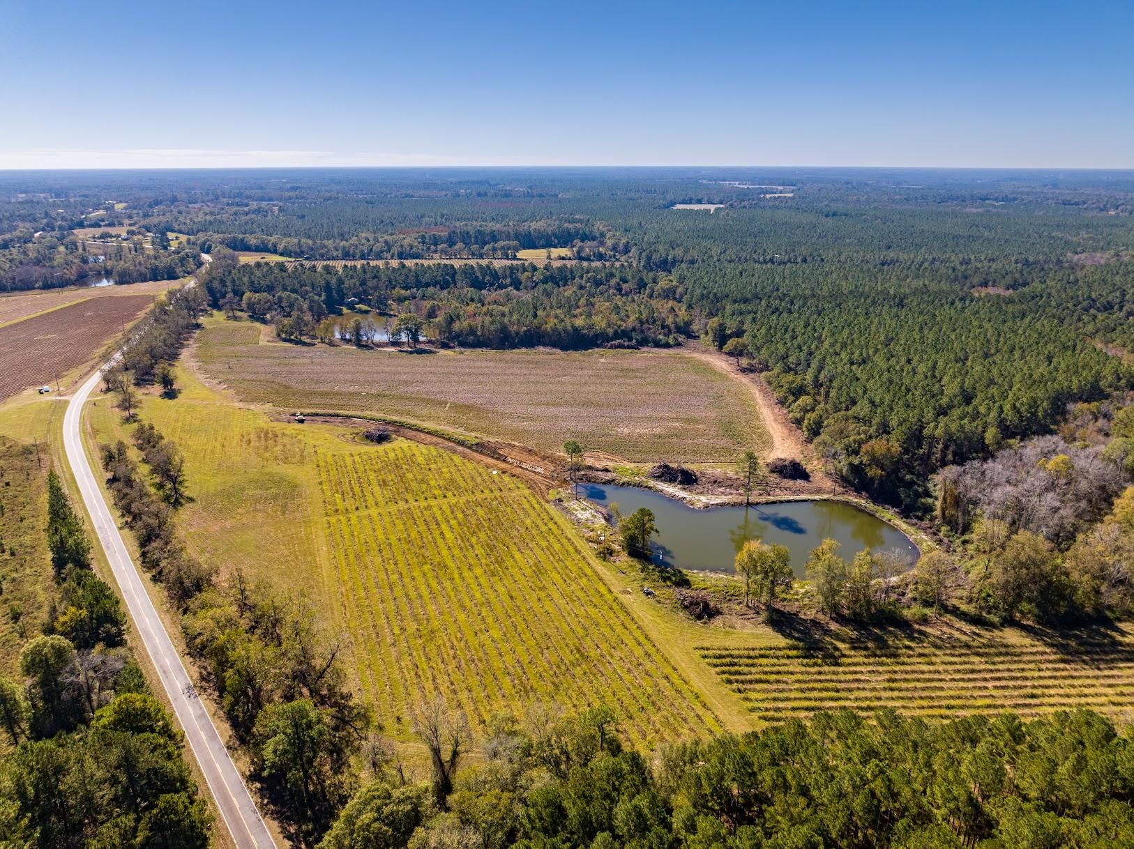 Holt Rd, Wray, GA 31774 | Land.com