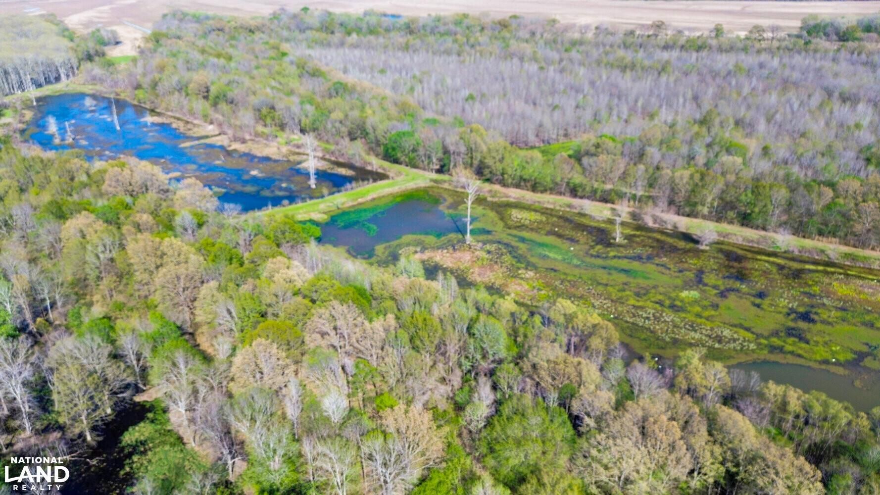 625 acres in Leflore County, Mississippi