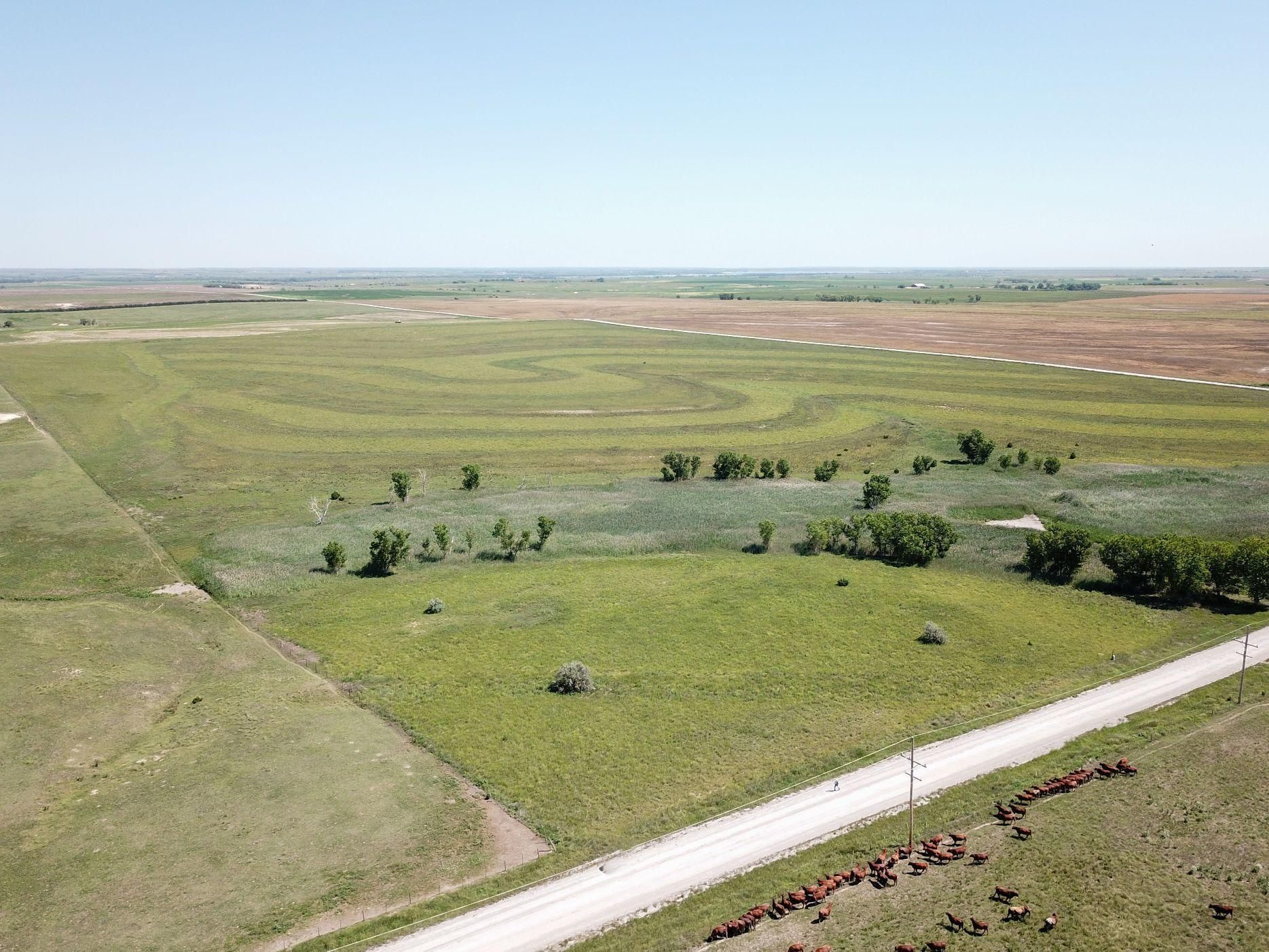 98.41 acres in Rooks County, Kansas