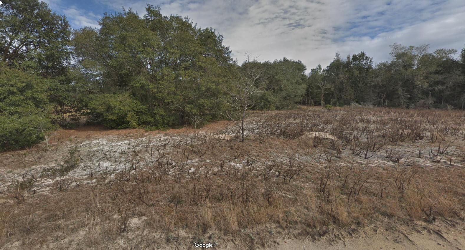 606 O Farrell Avenue, Interlachen, FL 32148 | Land.com