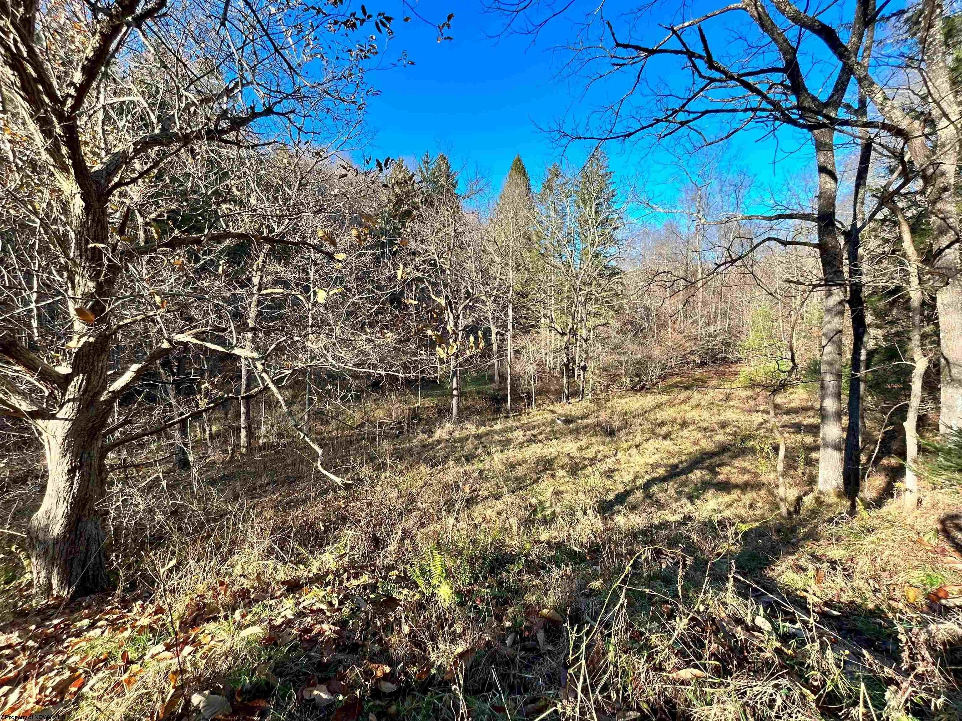 4.3 acres in Tucker County, West Virginia