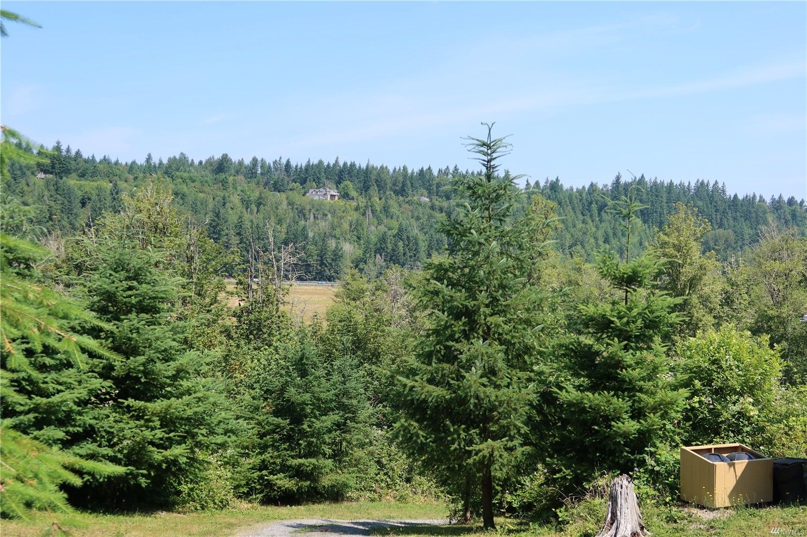 10812 Ohop Valley Extension Rd E, Eatonville, WA 98028 | MLS: 2135778 ...