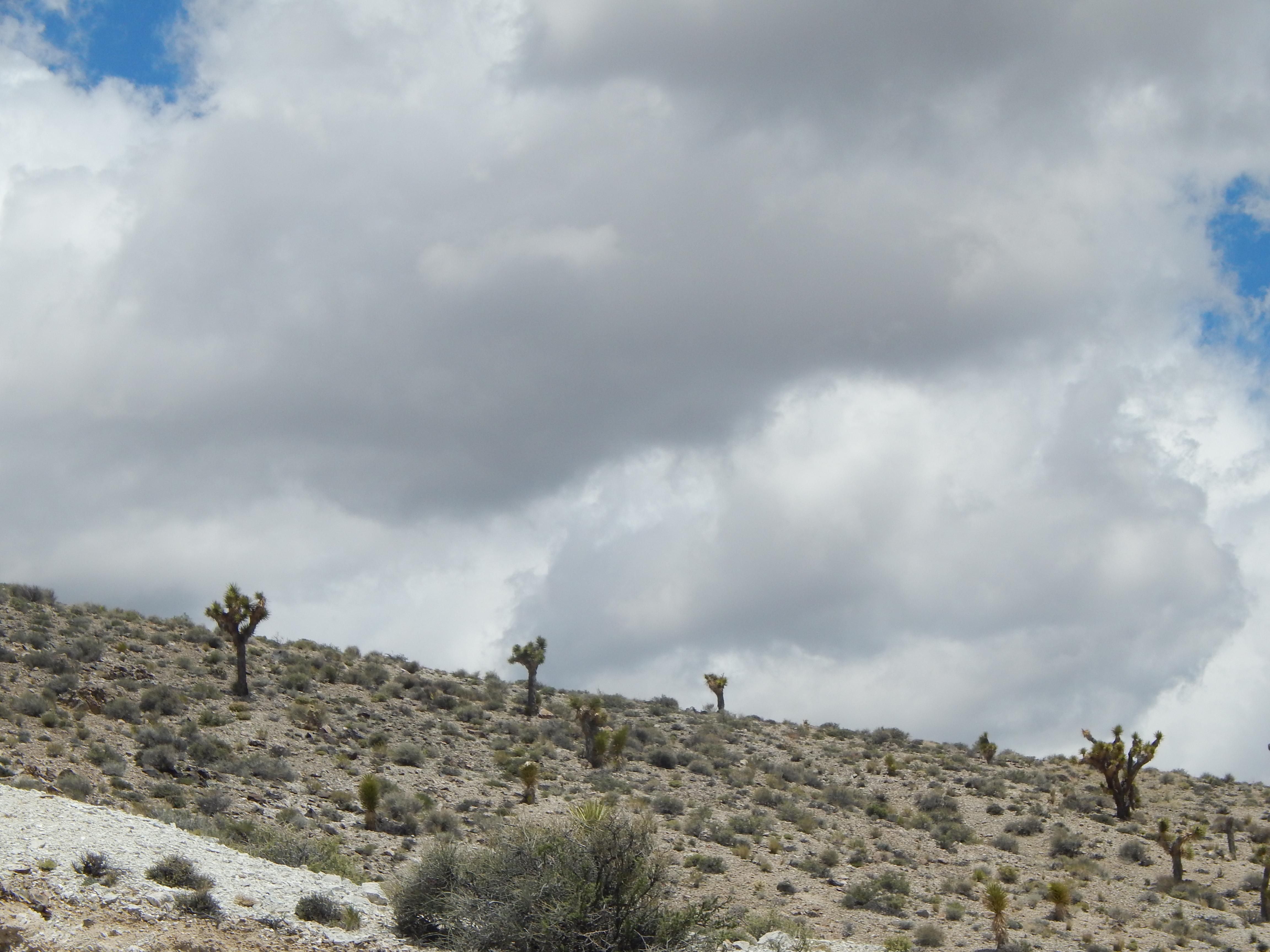 20.66 acres in Esmeralda County, Nevada