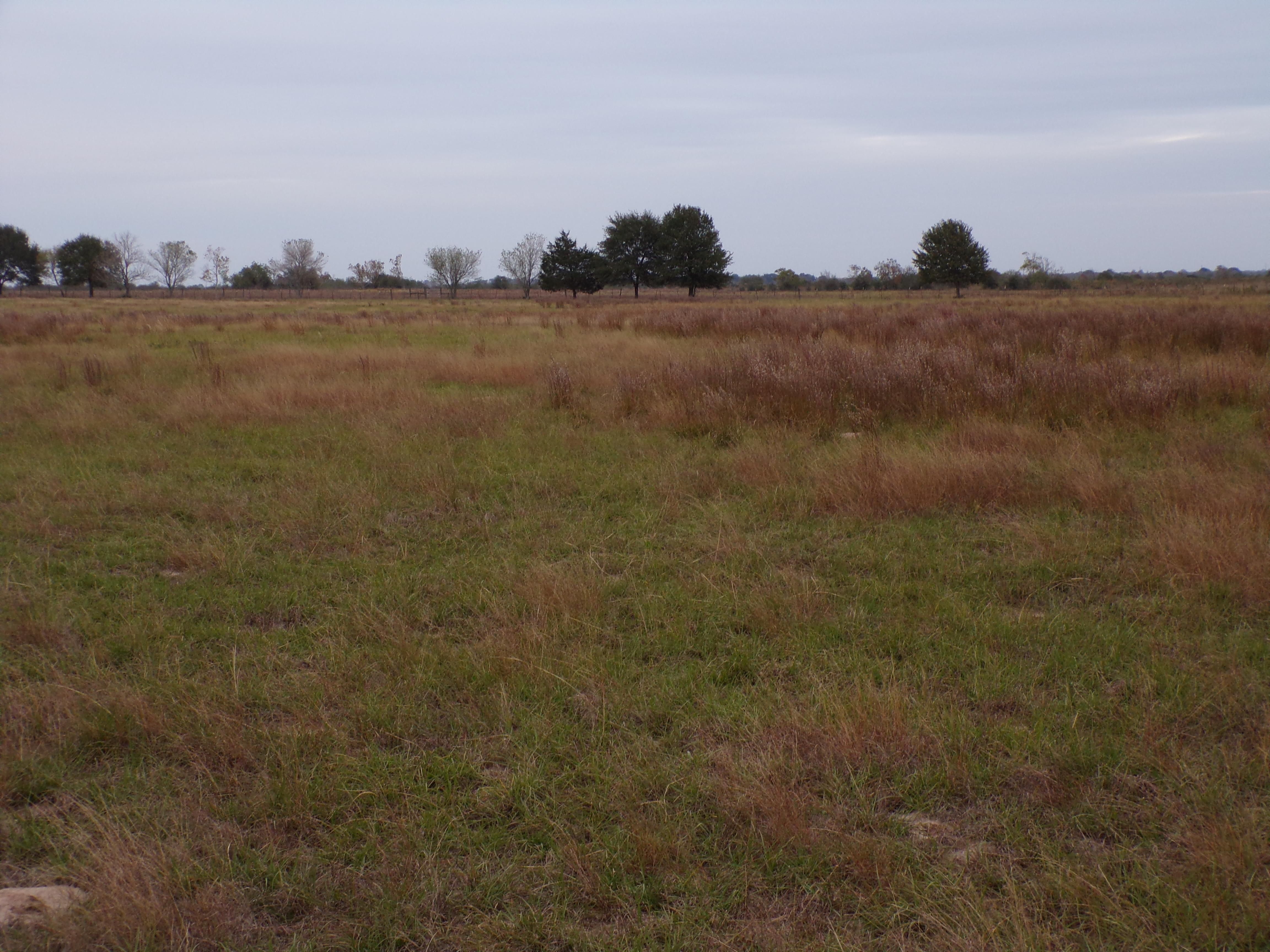 5657 Rexville Road, Sealy, TX 77474 | Land.com