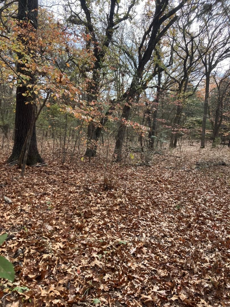 Honey Cut Road and Swamp Creek Rd., Kenefic, OK 74748 | Land.com