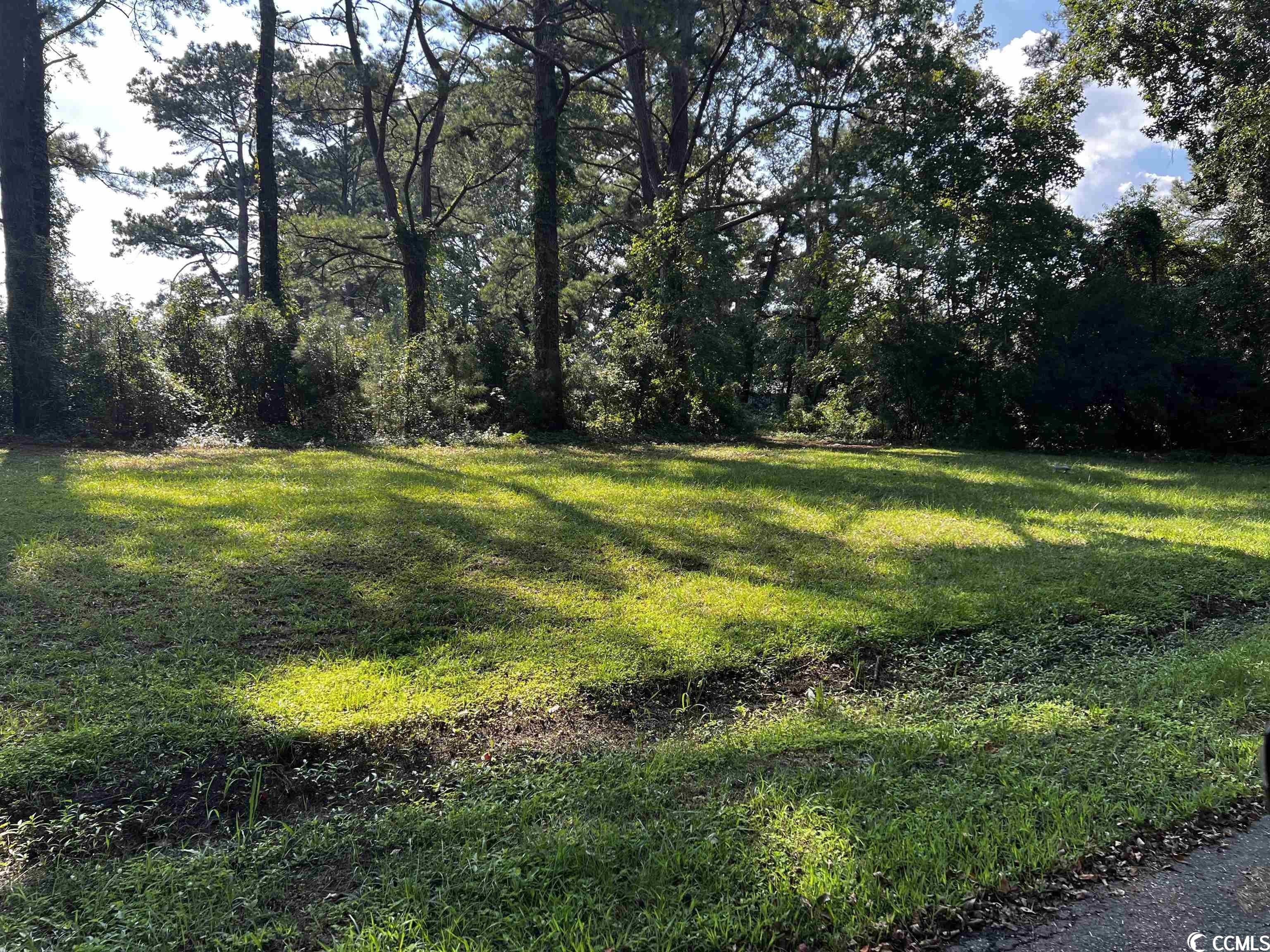 0.3 acres in Horry County, South Carolina