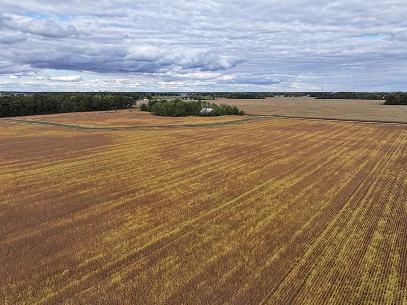 500 East, Craigville, IN 46777 | Land.com