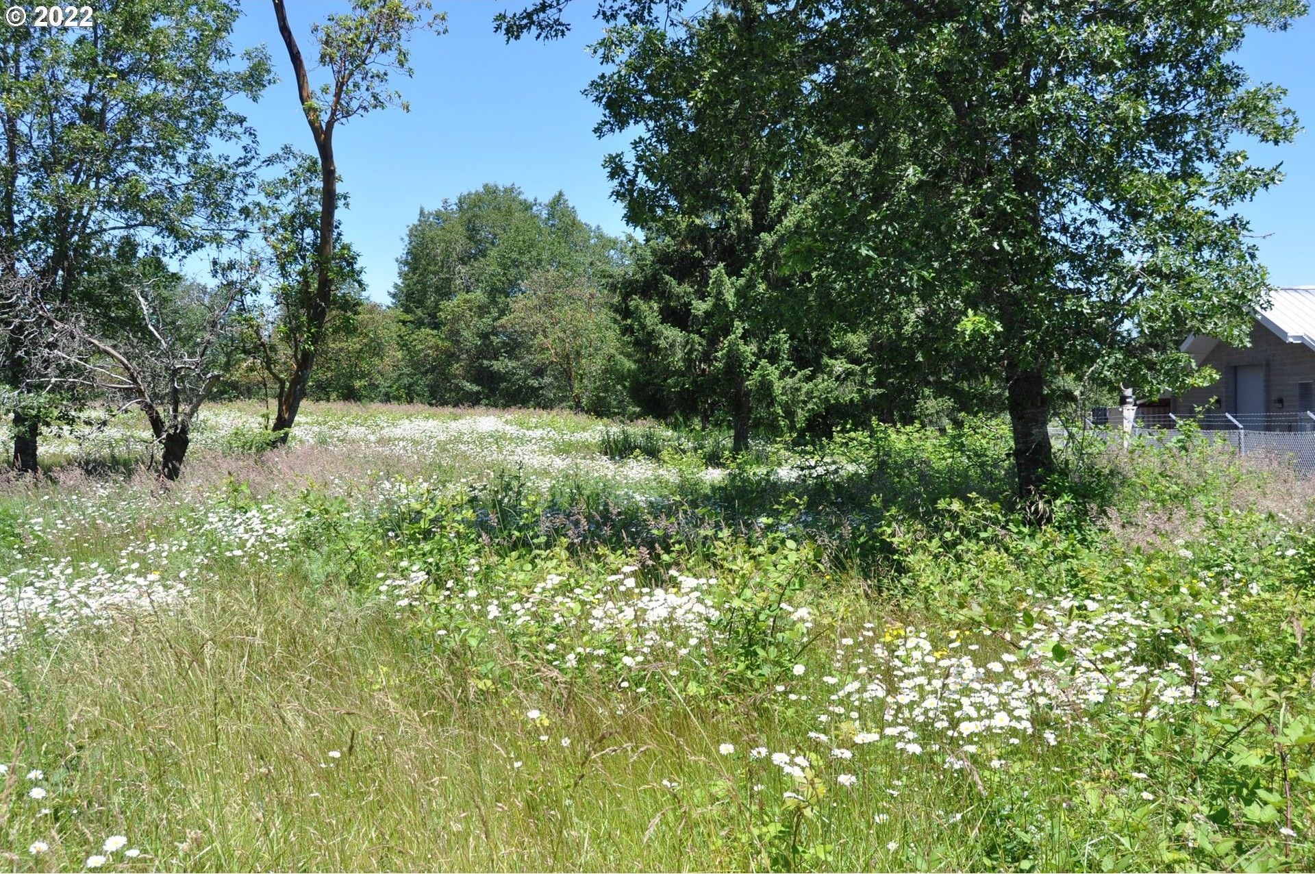 0.23 acres in Lane County, Oregon