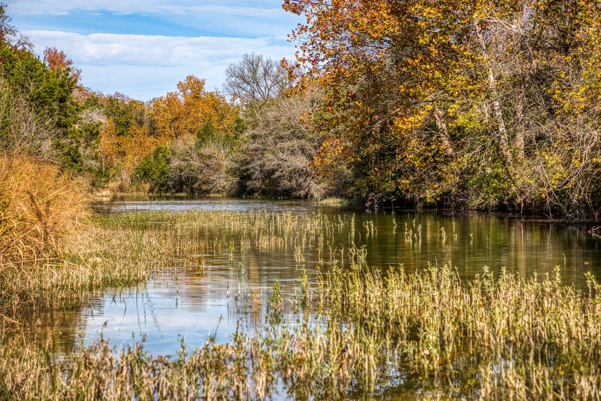 42 acres in Travis County, Texas