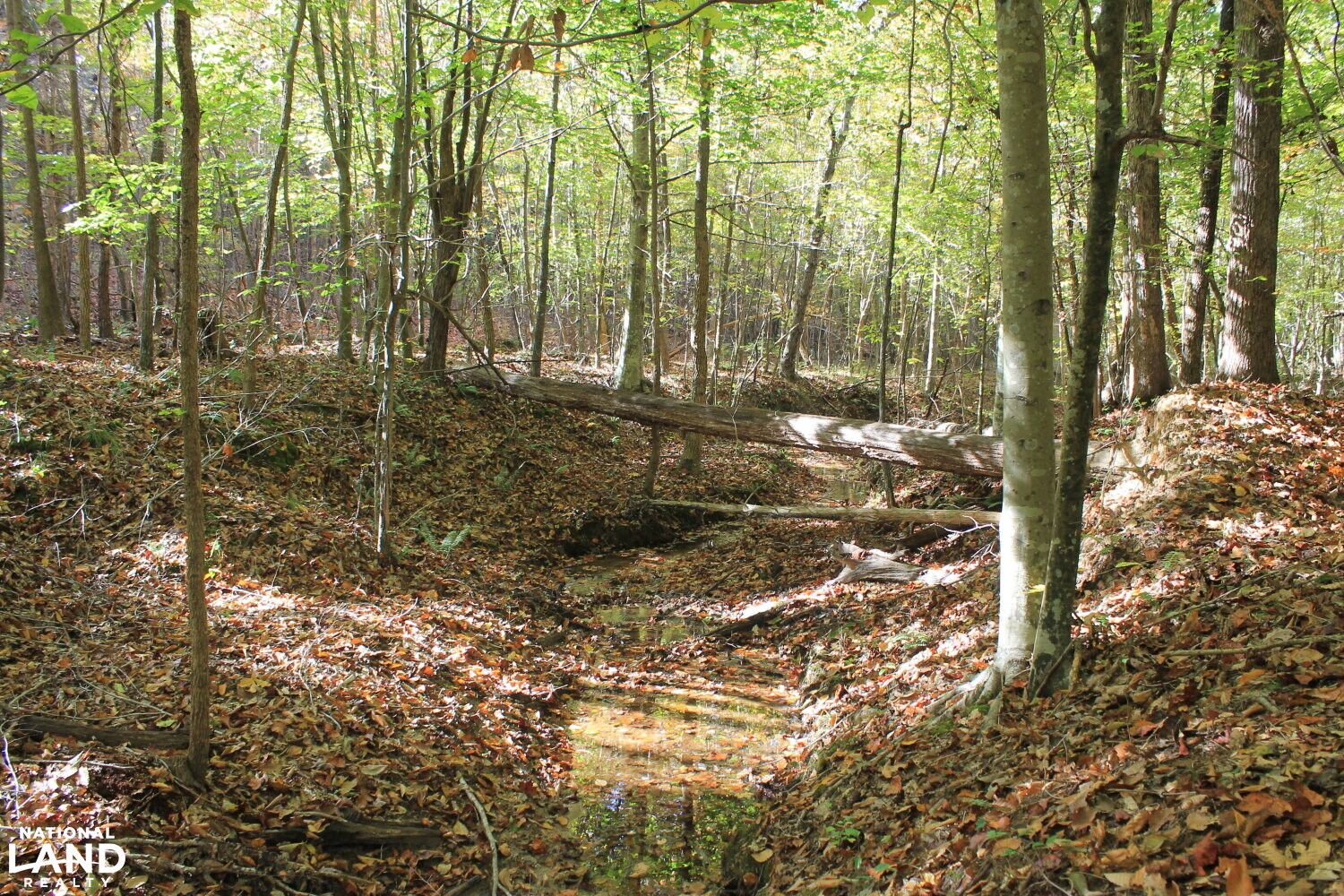 0 Clement Town Rd., Powhatan, VA 23139 | Land.com