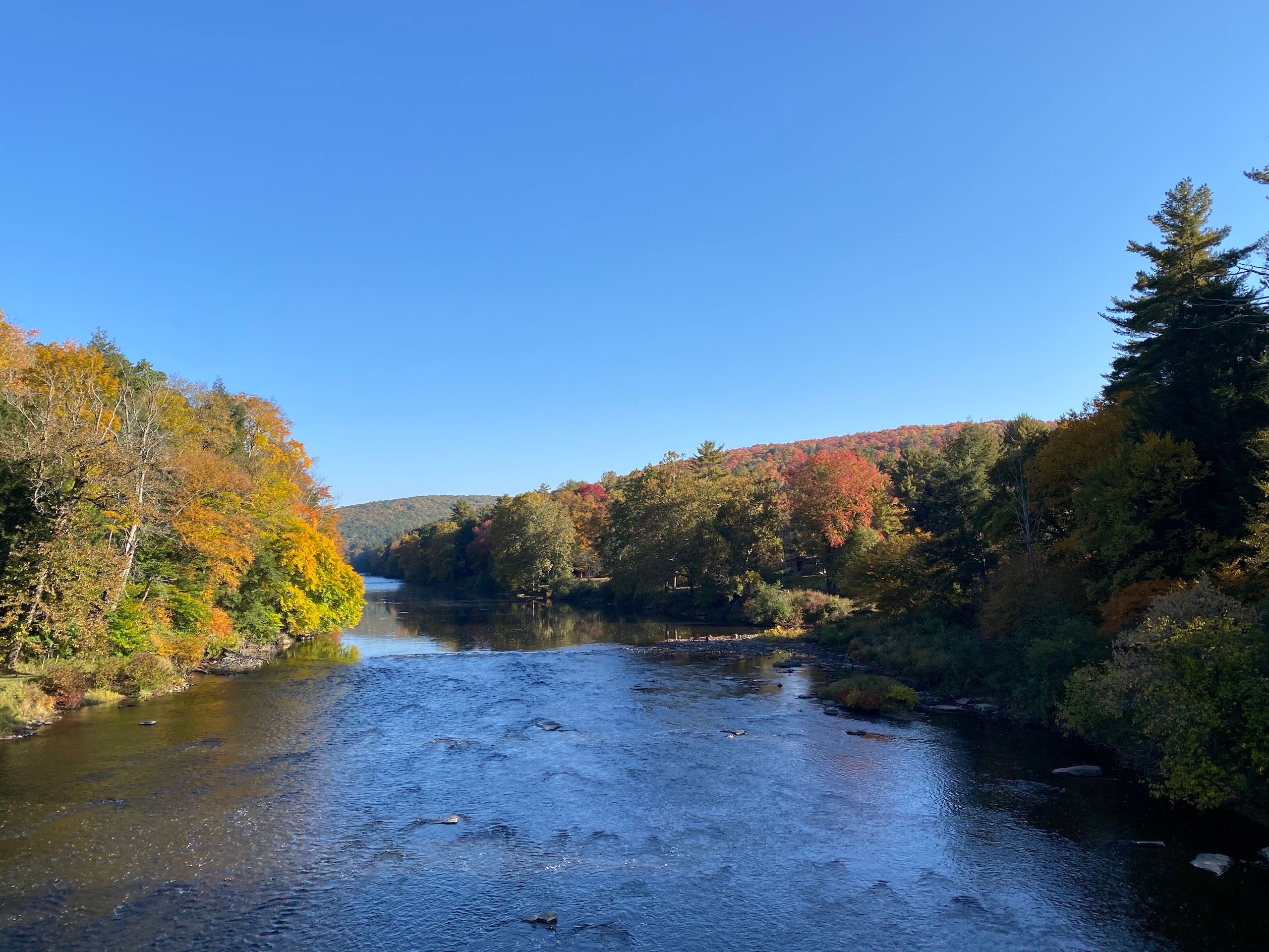 20 acres in Elk County, Pennsylvania