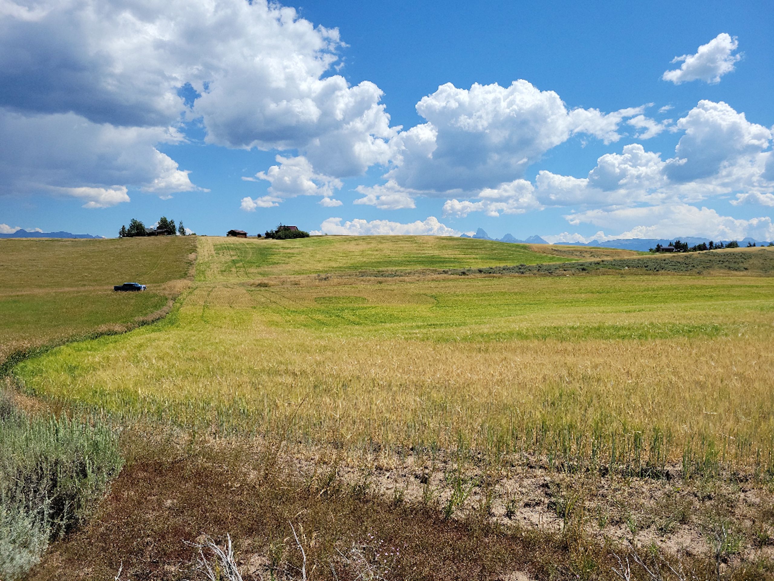 120 acres in Teton County, Idaho