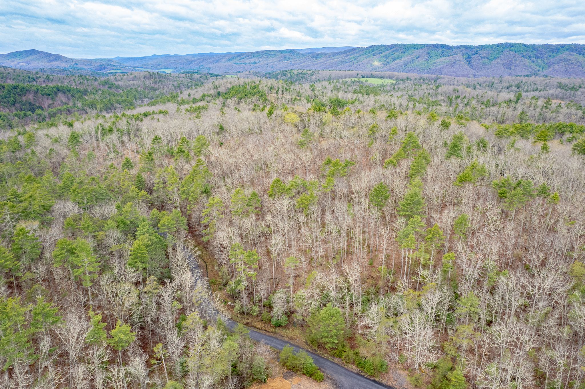 39.14 acres in Bath County, Virginia