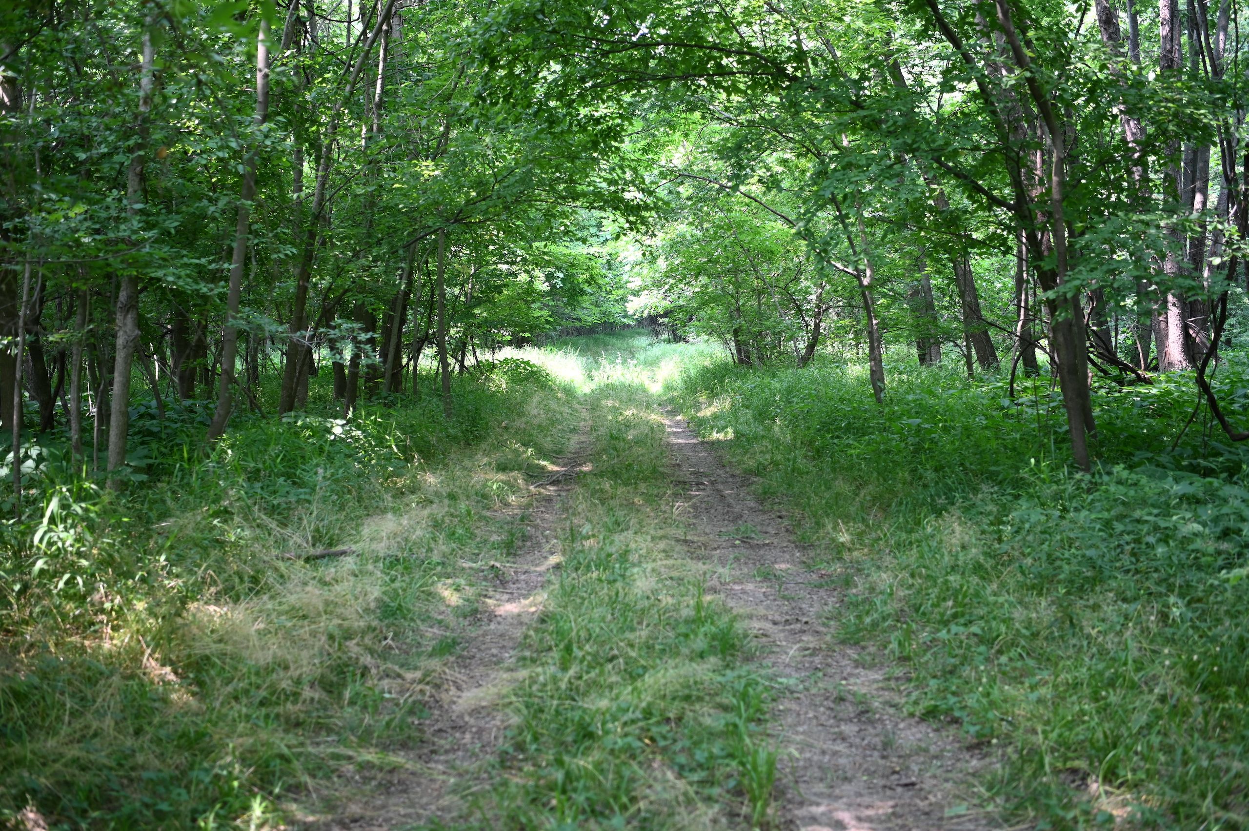 020 N, Lot #WP001, Allendale, IL 62410 | Land.com