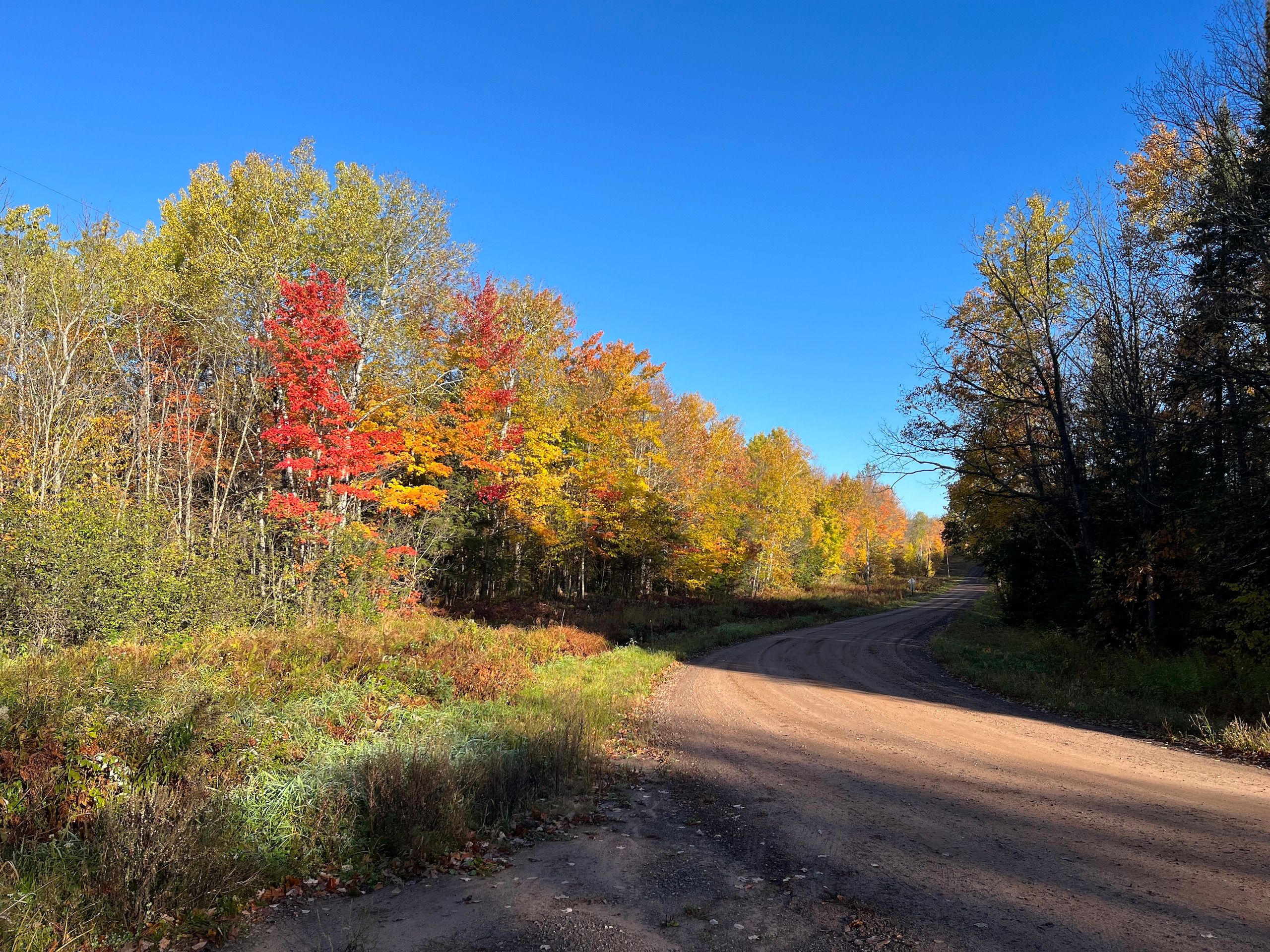 RR, Grand View, WI 54839 | Land.com