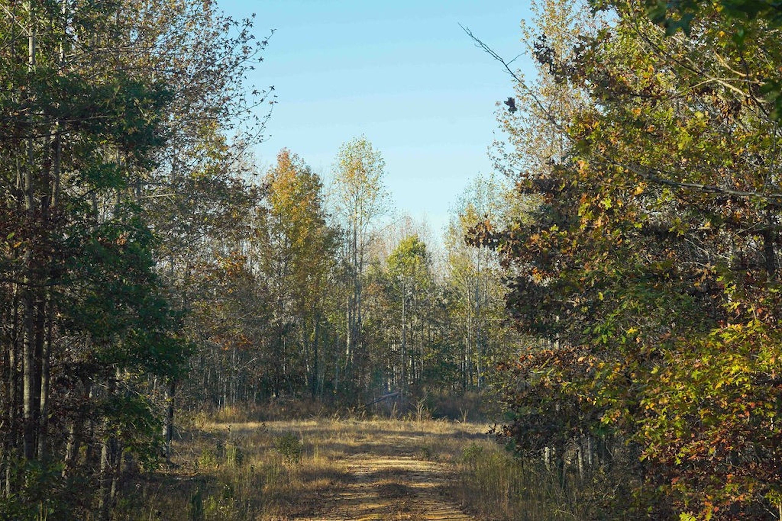 129.85 acres in Stewart County, Tennessee