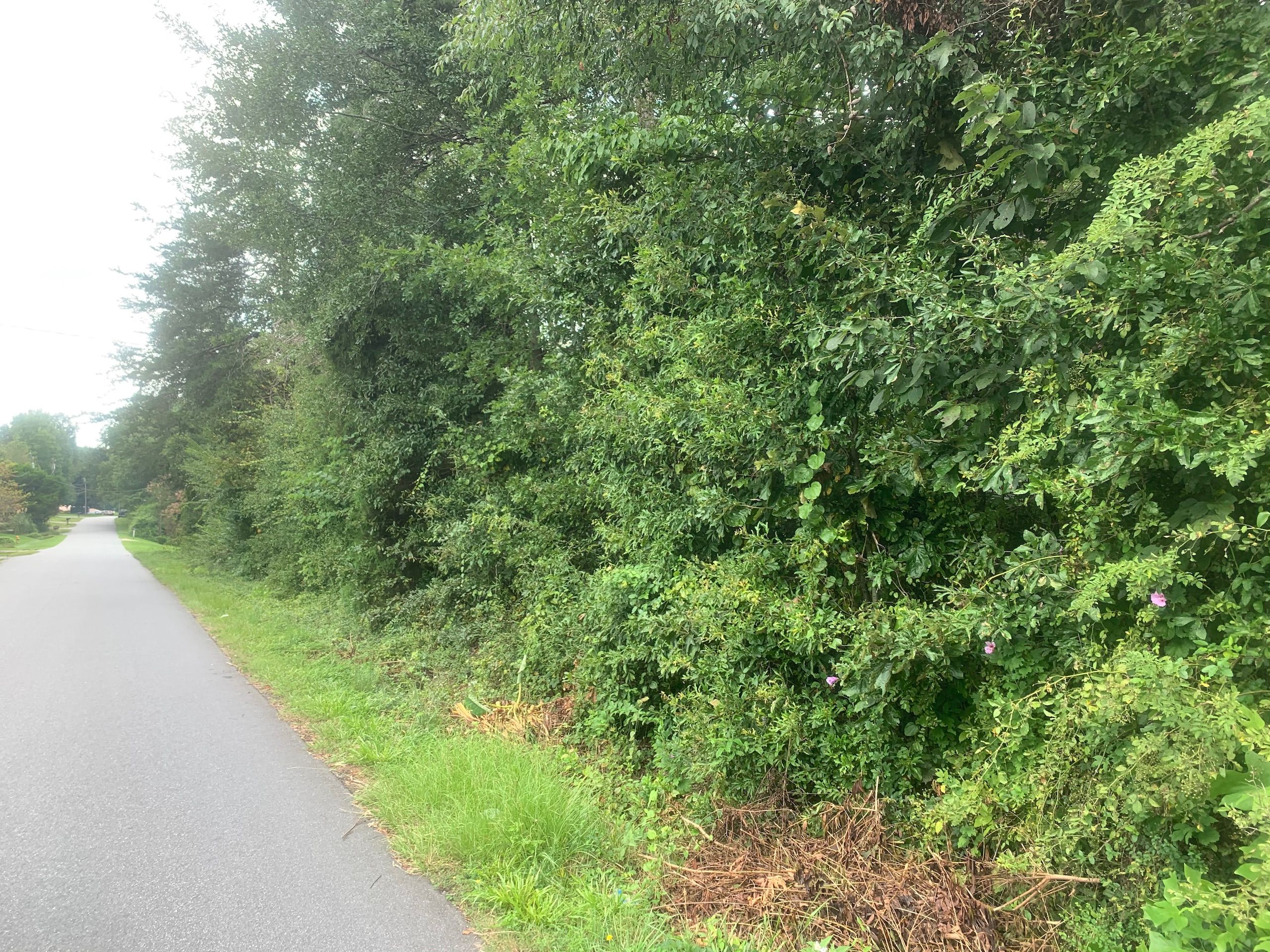 1.54 acres in Rutherford County, North Carolina