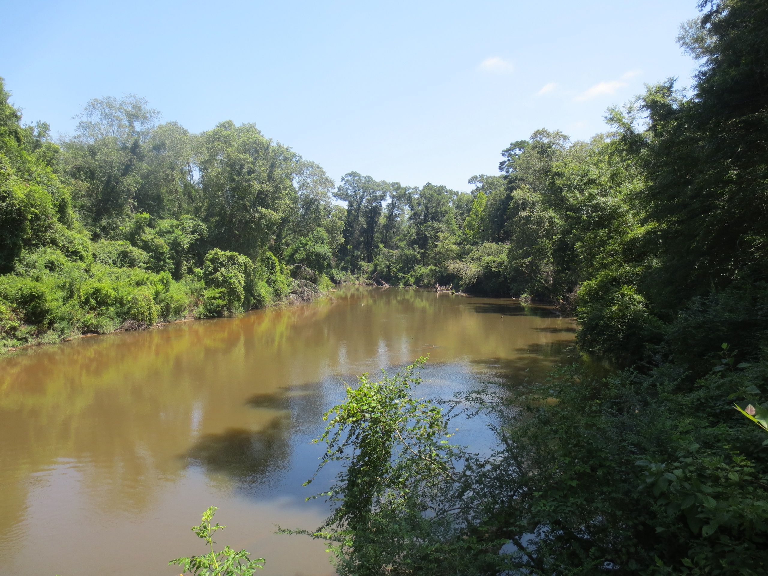 Old Highway 49, Lot#WP005, Seminary, MS 39479 | Land.com