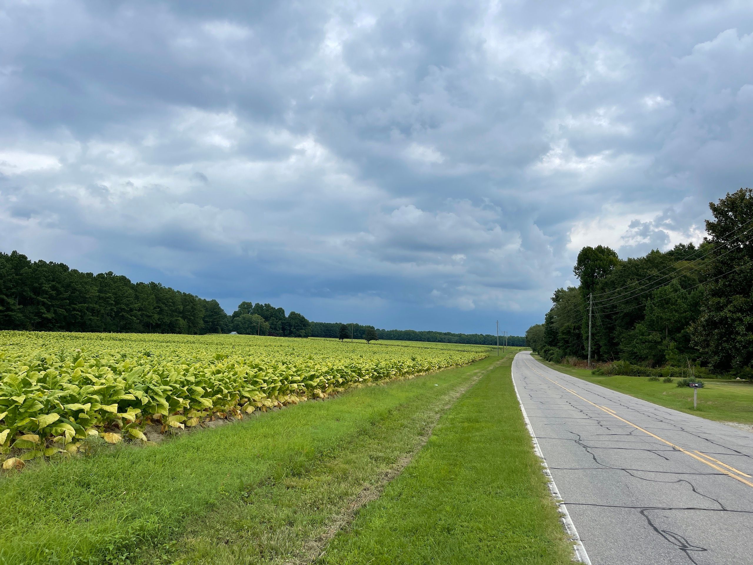 Off Hillardston Road, Lot# WP0001, Castalia, NC 27816 | Land.com