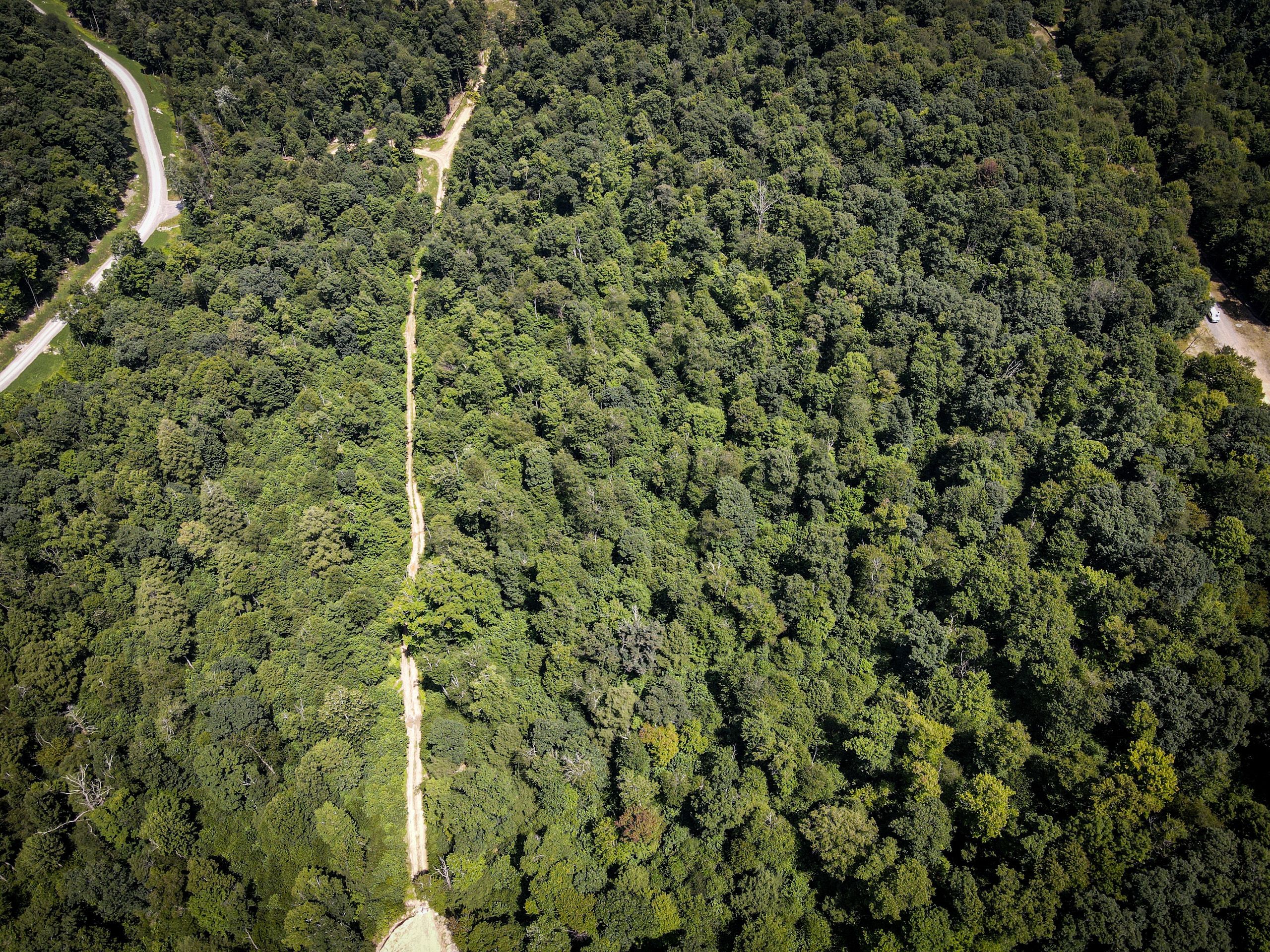 Laurel Loop, Lot #WP003, Bruceton Mills, WV 26505 | Land.com