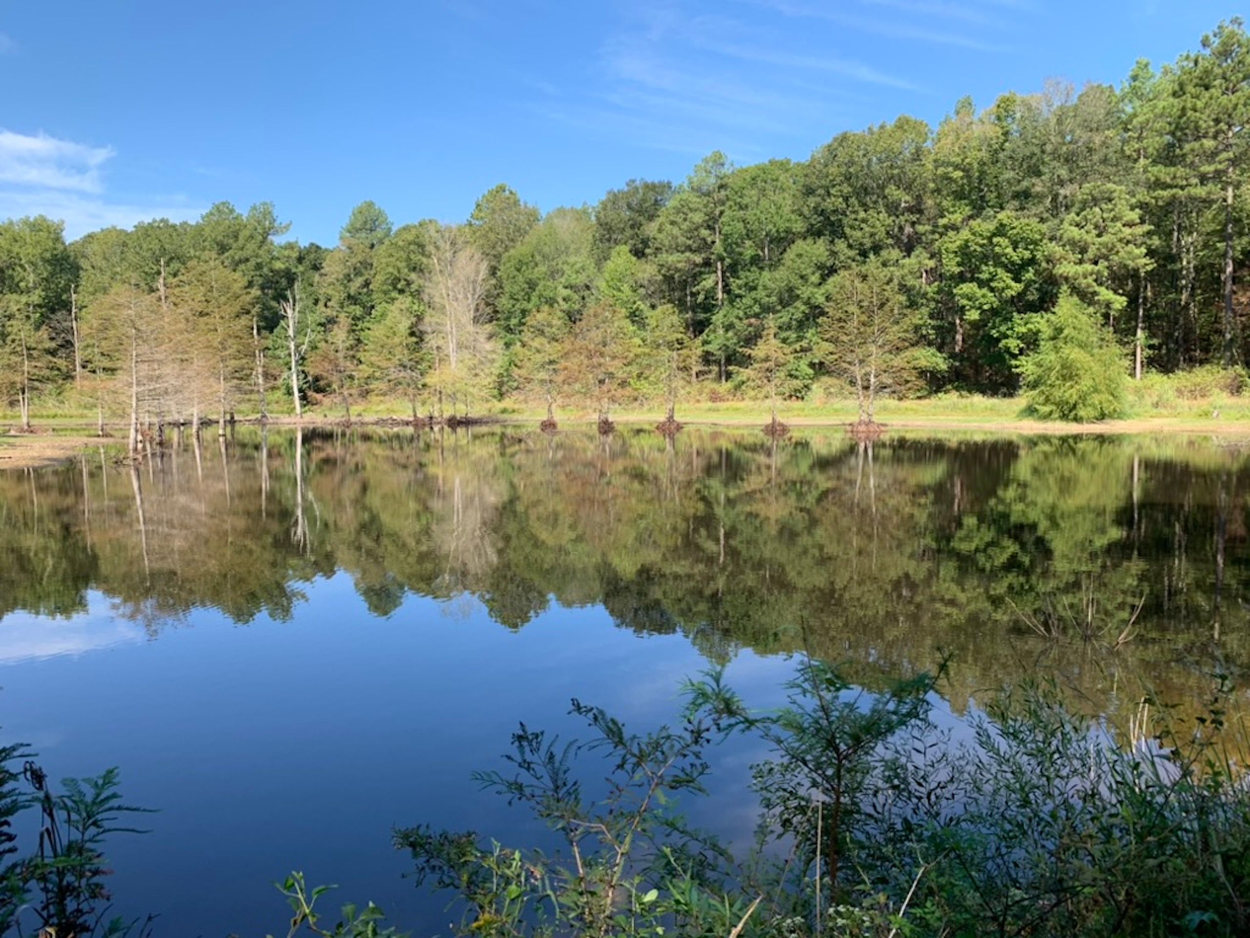 Posey-Webb Camp Highway, Aimwell, LA 71401 | Land.com