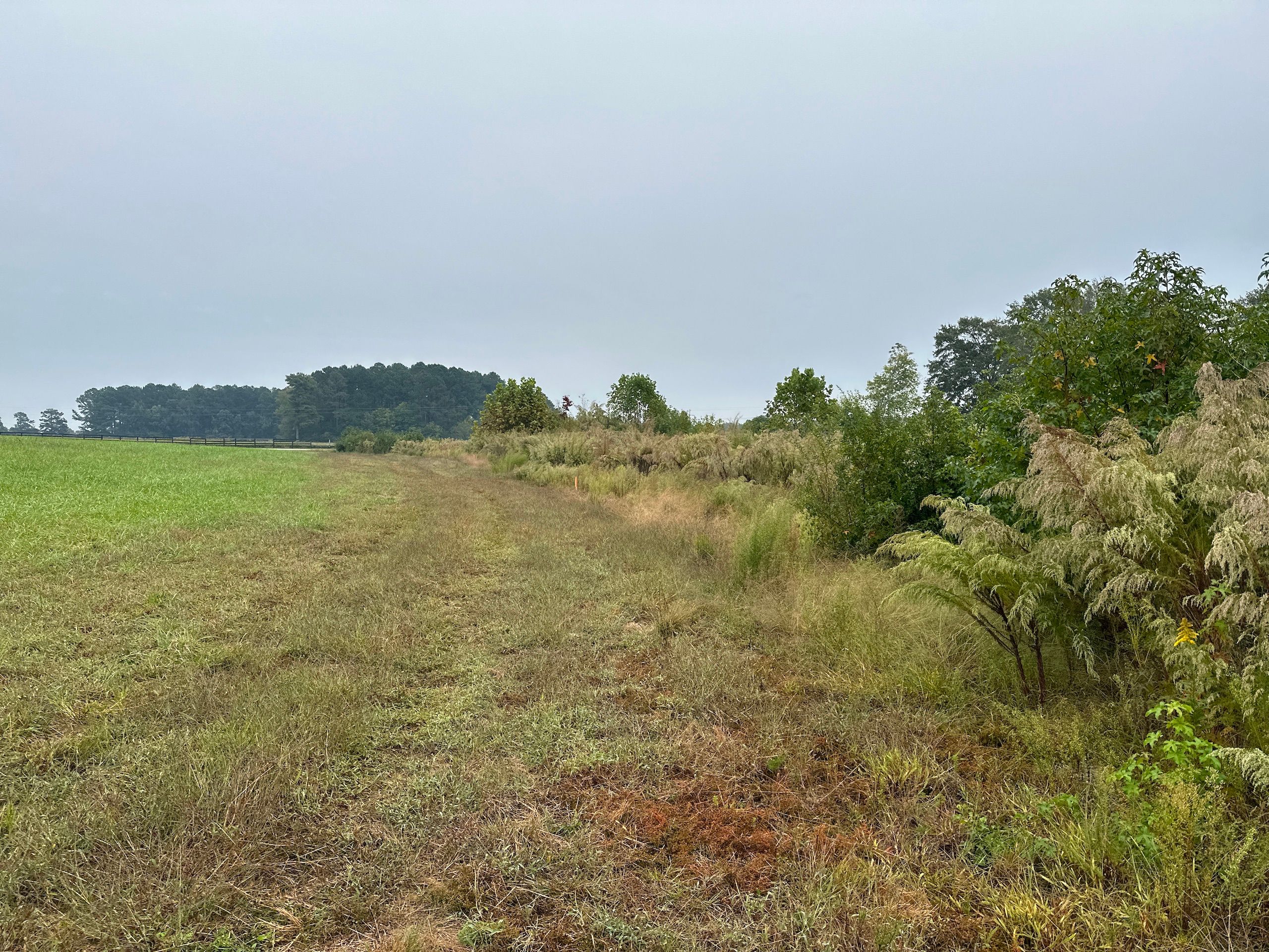 Social Plains Rd, Lot#WP001, Zebulon, NC 27597 | Land.com