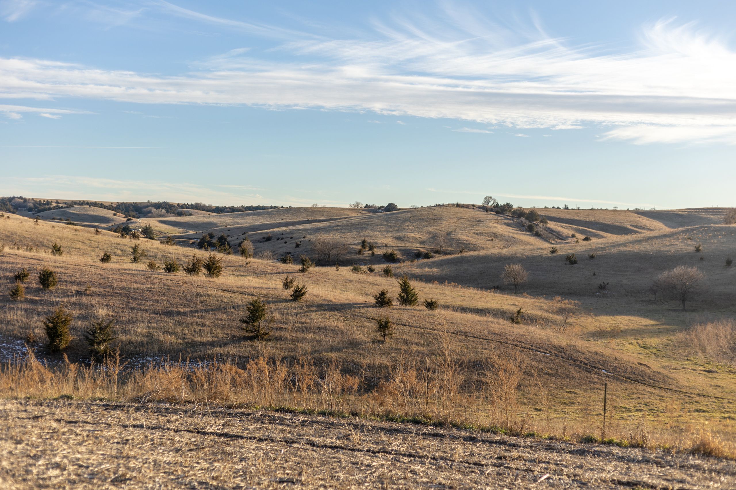 1235 310th Street, Lot#WP001, Primrose, NE 68655 | Land.com