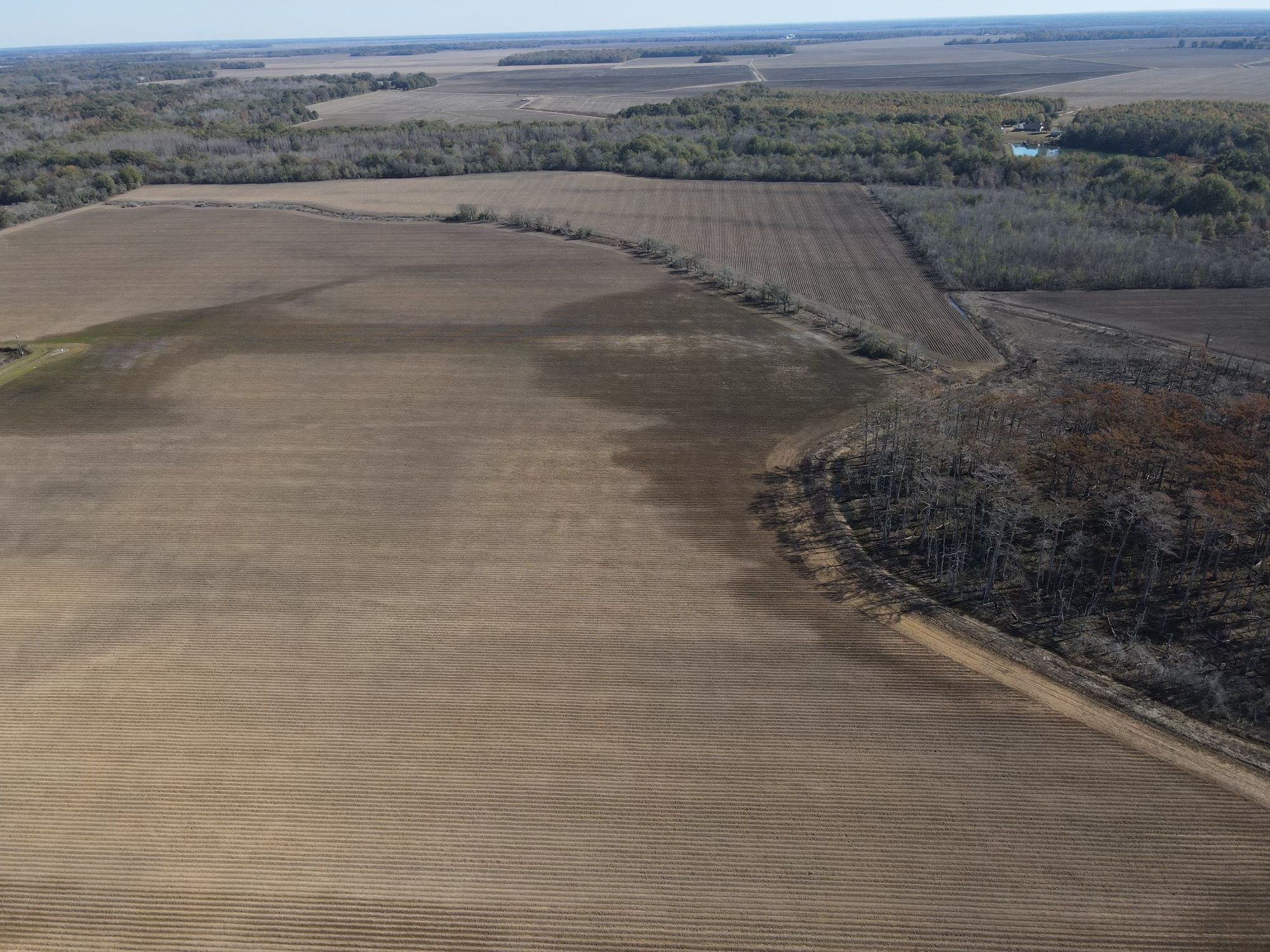 Delaughter Road Lot# Wp0001, Wisner, LA 71378 | Land.com