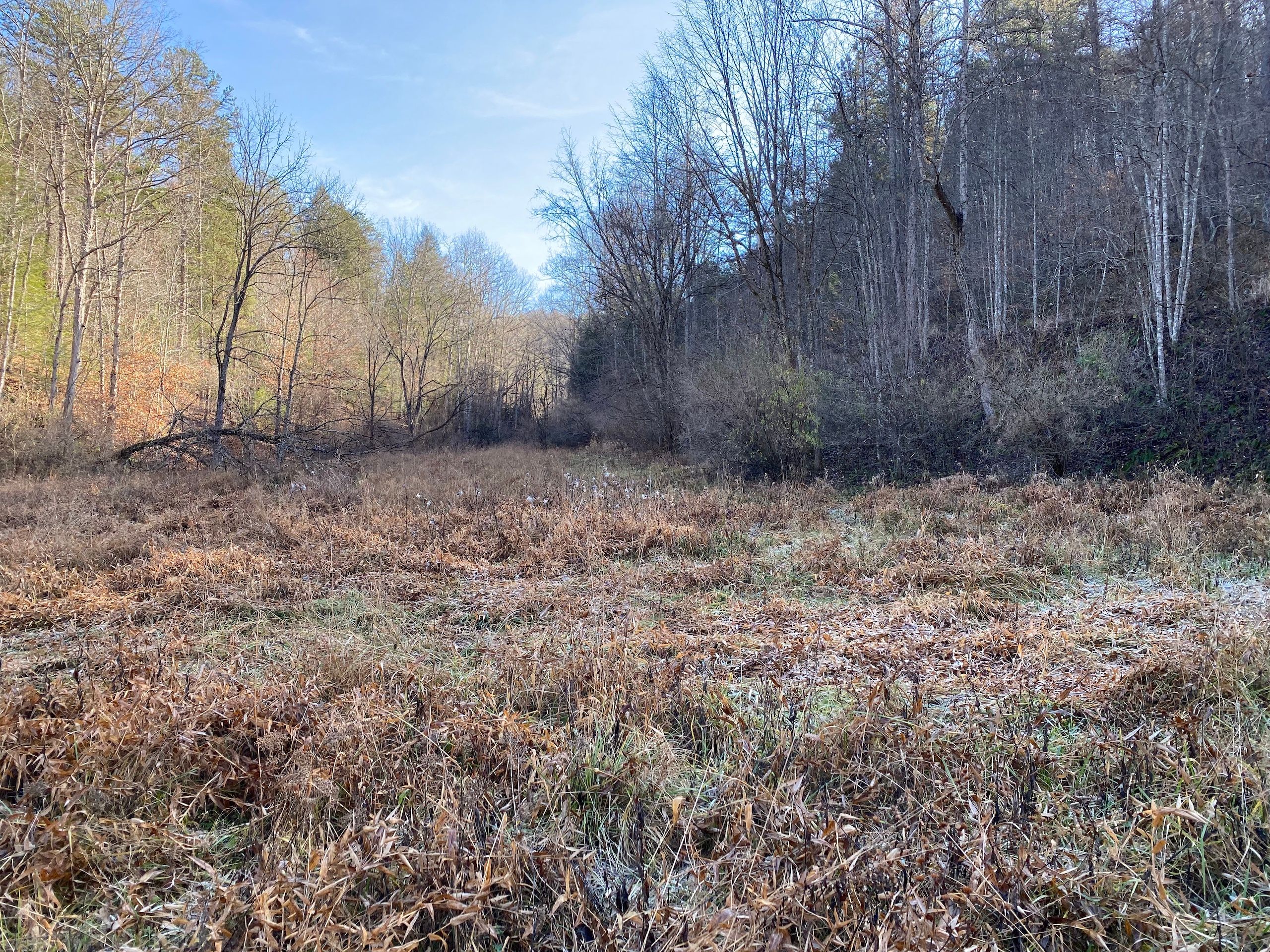 141 acres in Magoffin County, Kentucky