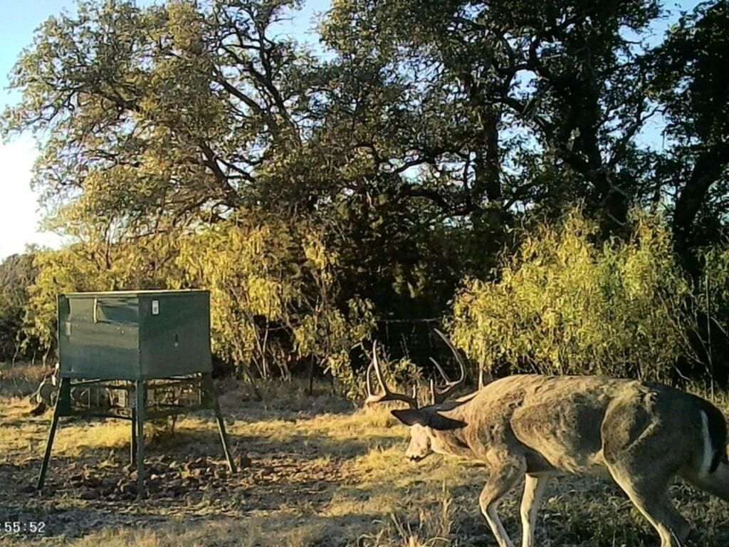 48 acres in Sutton County, Texas