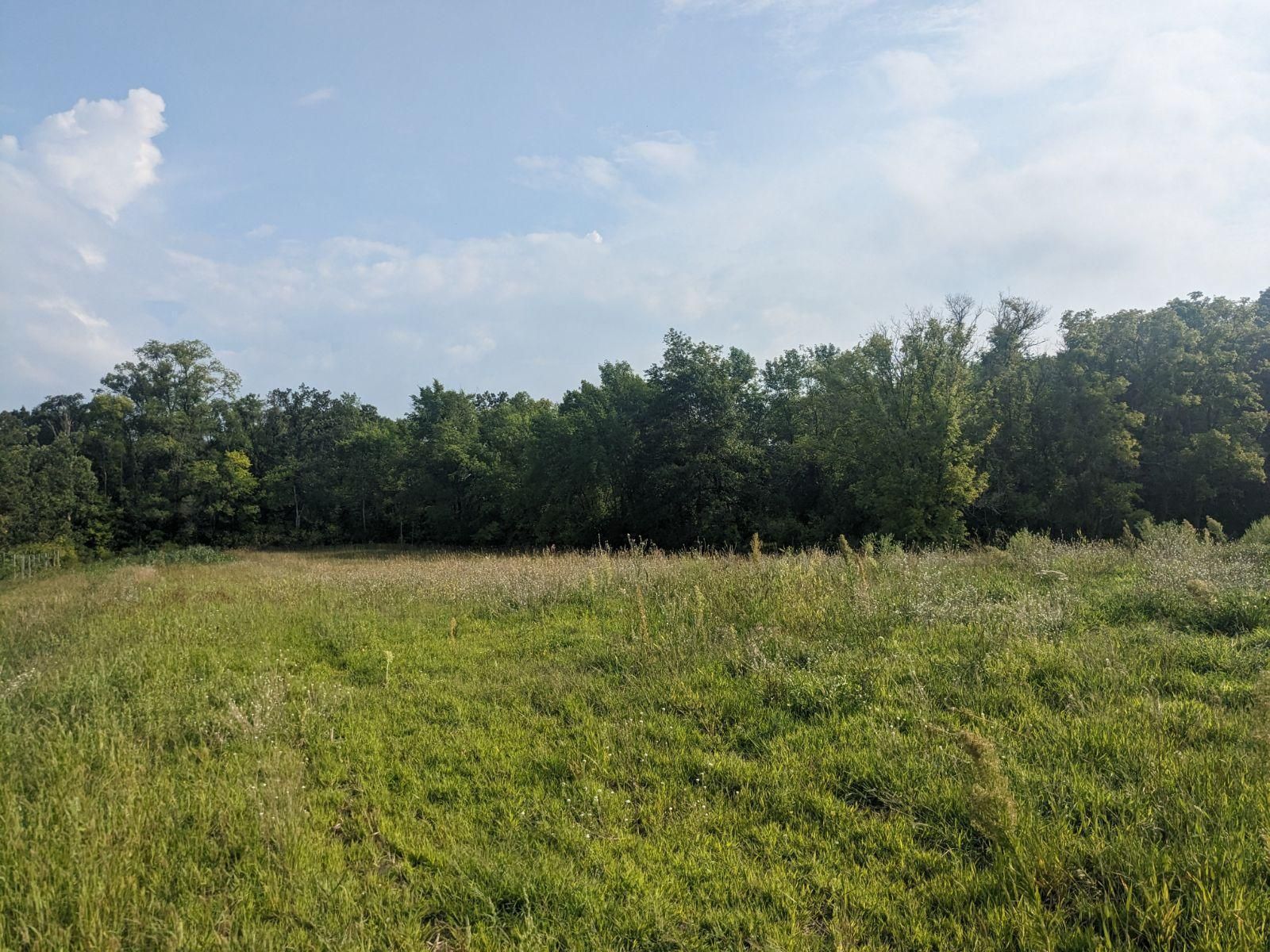 10 acres in Wright County, Minnesota