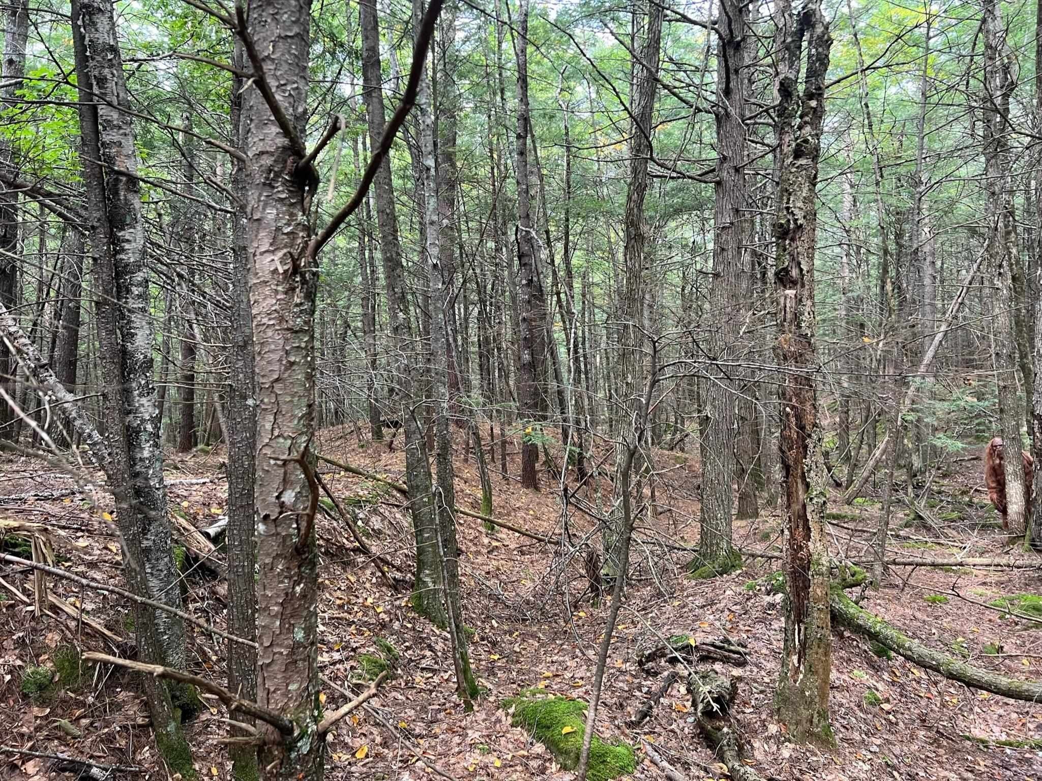 11 acres in Rockingham County, New Hampshire