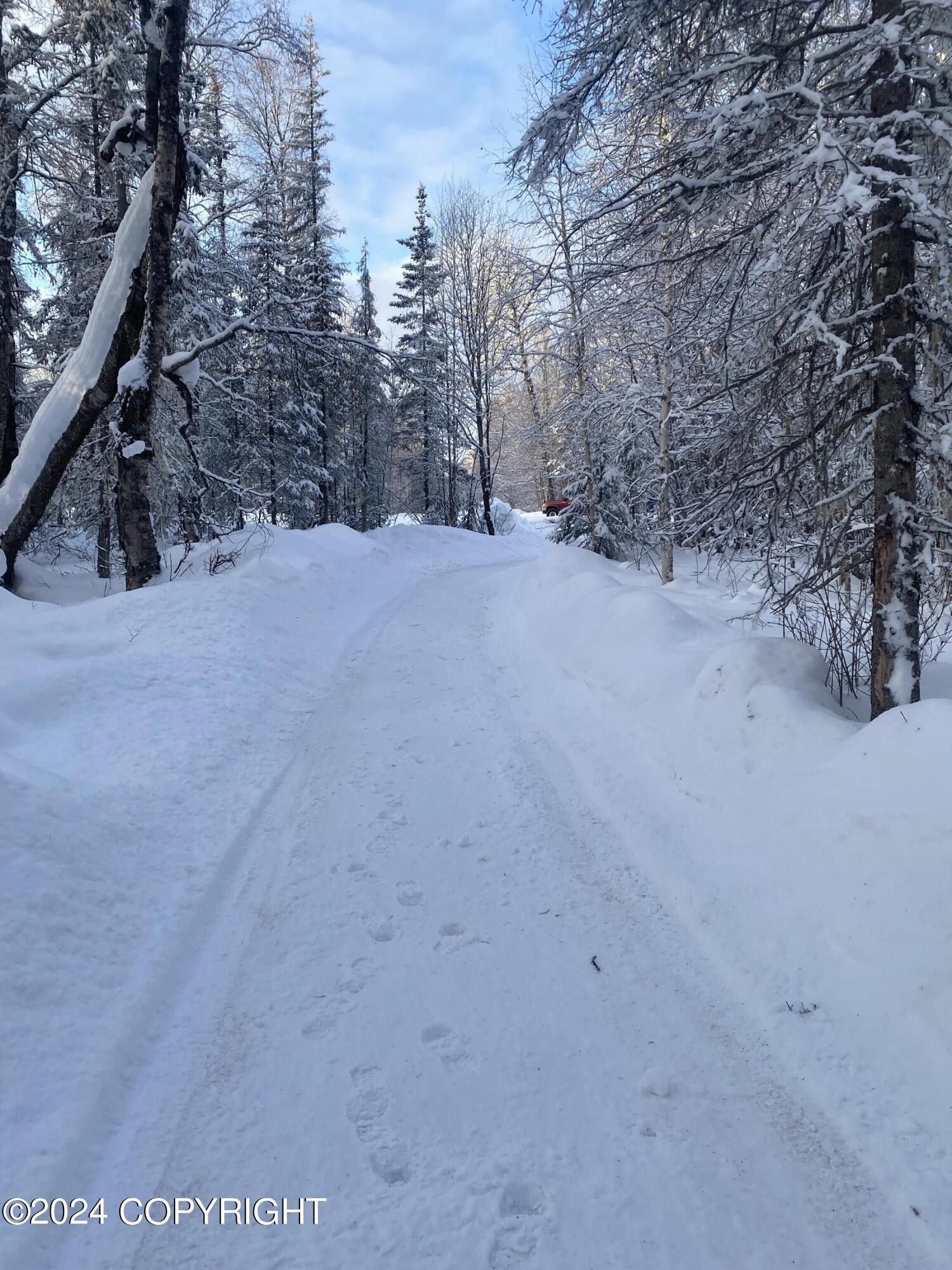 20 acres in Matanuska-Susitna Borough, Alaska