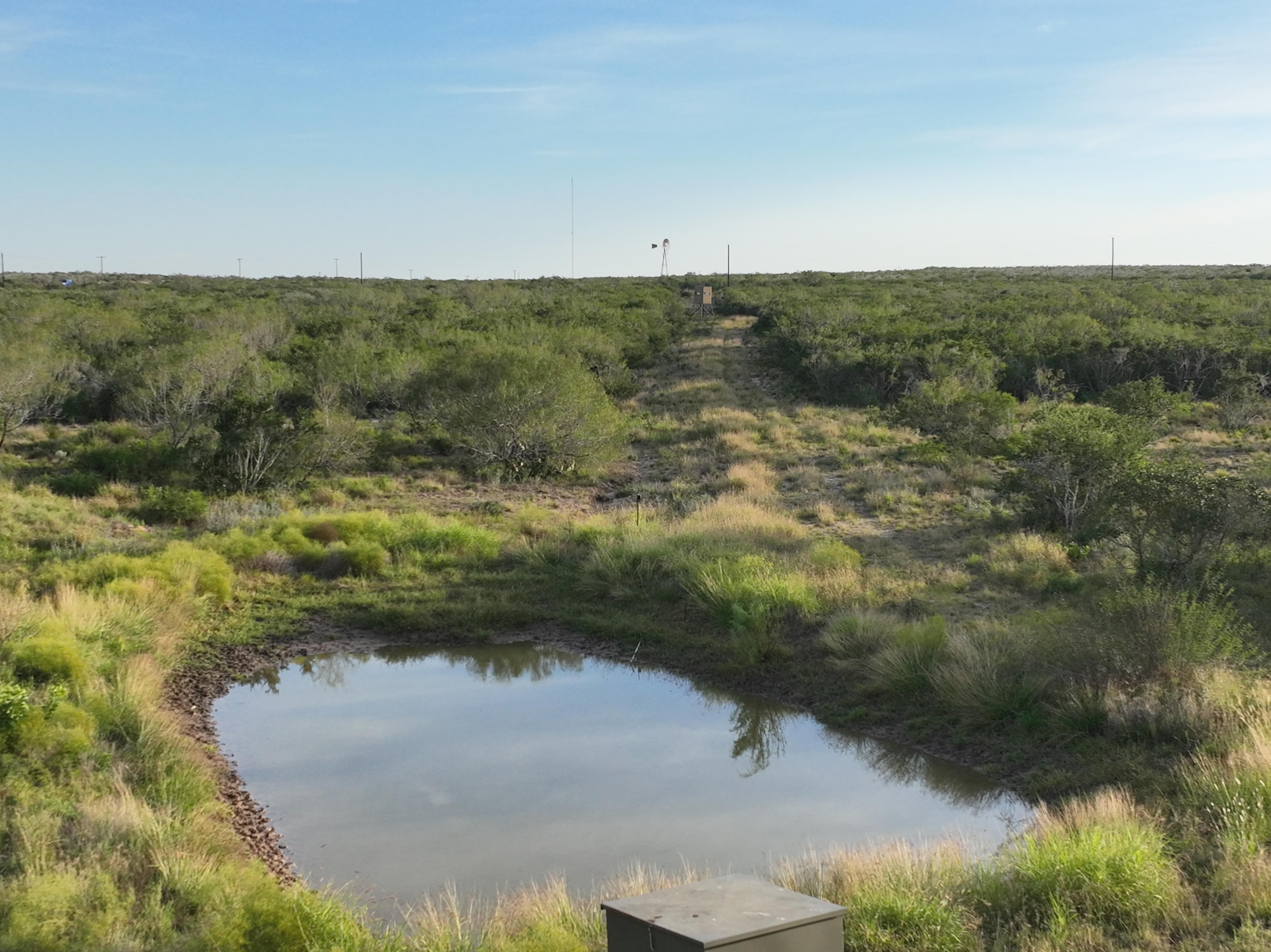 120.21 acres in Freer, TX, 78357 | Land.com