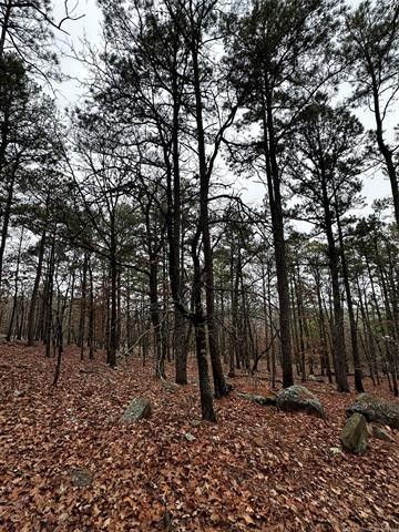 Over 5 Acres - Stringtown, OK