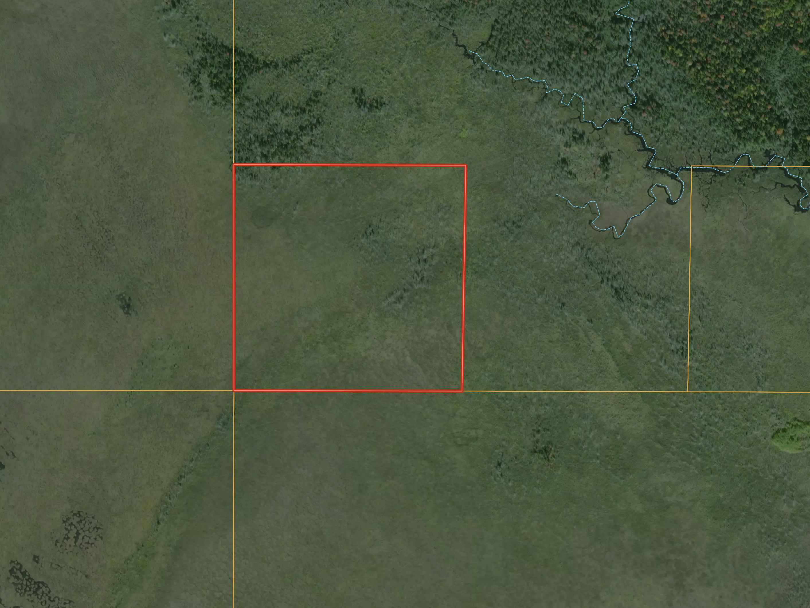 40 acres in Luce County, Michigan