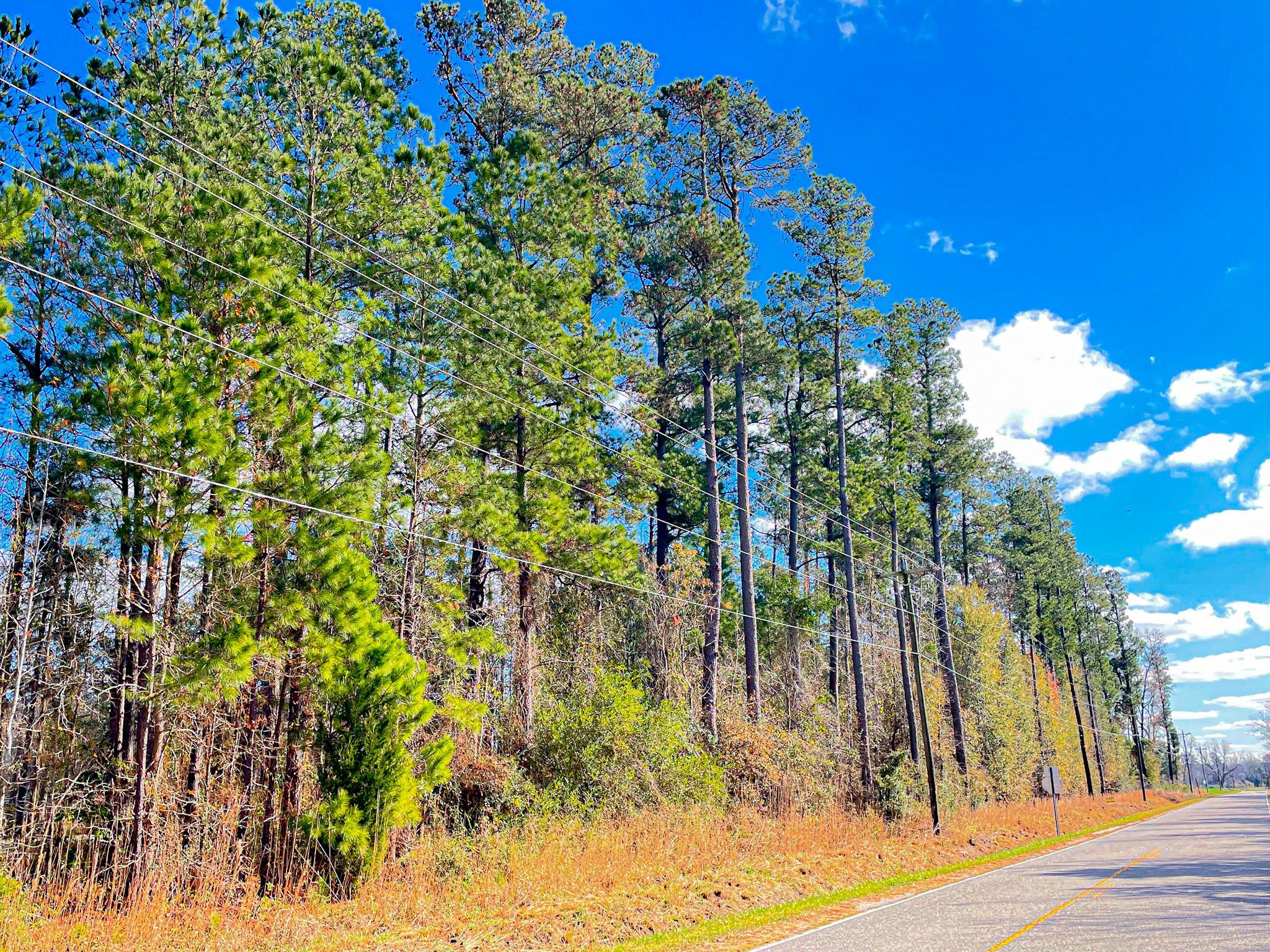 Highway 9, Lot#WP001, Nichols, SC 29581 | Land.com