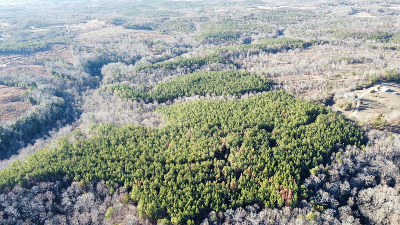 100 acres in Winston County, Alabama