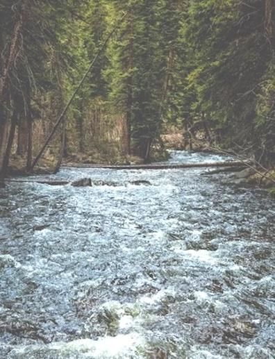 Financing Mining Claim Ownership, Fraser, CO 80442 | Land.com