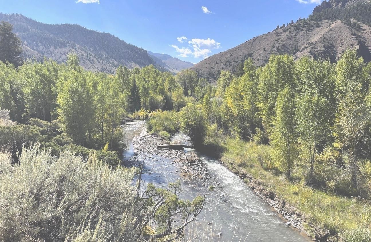 $375 per month Mining Claim Ownership, Cody, WY 82414 | Land.com