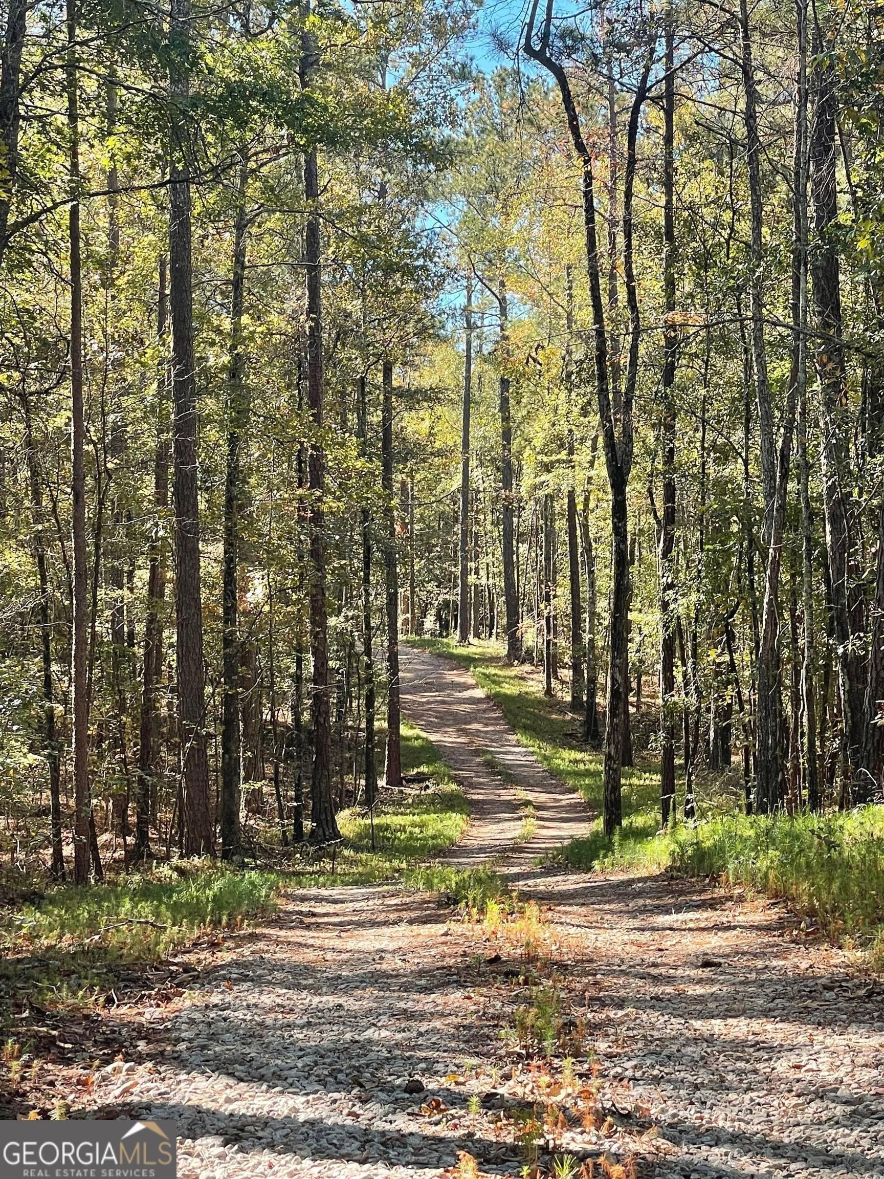 8 acres in Pike County, Georgia