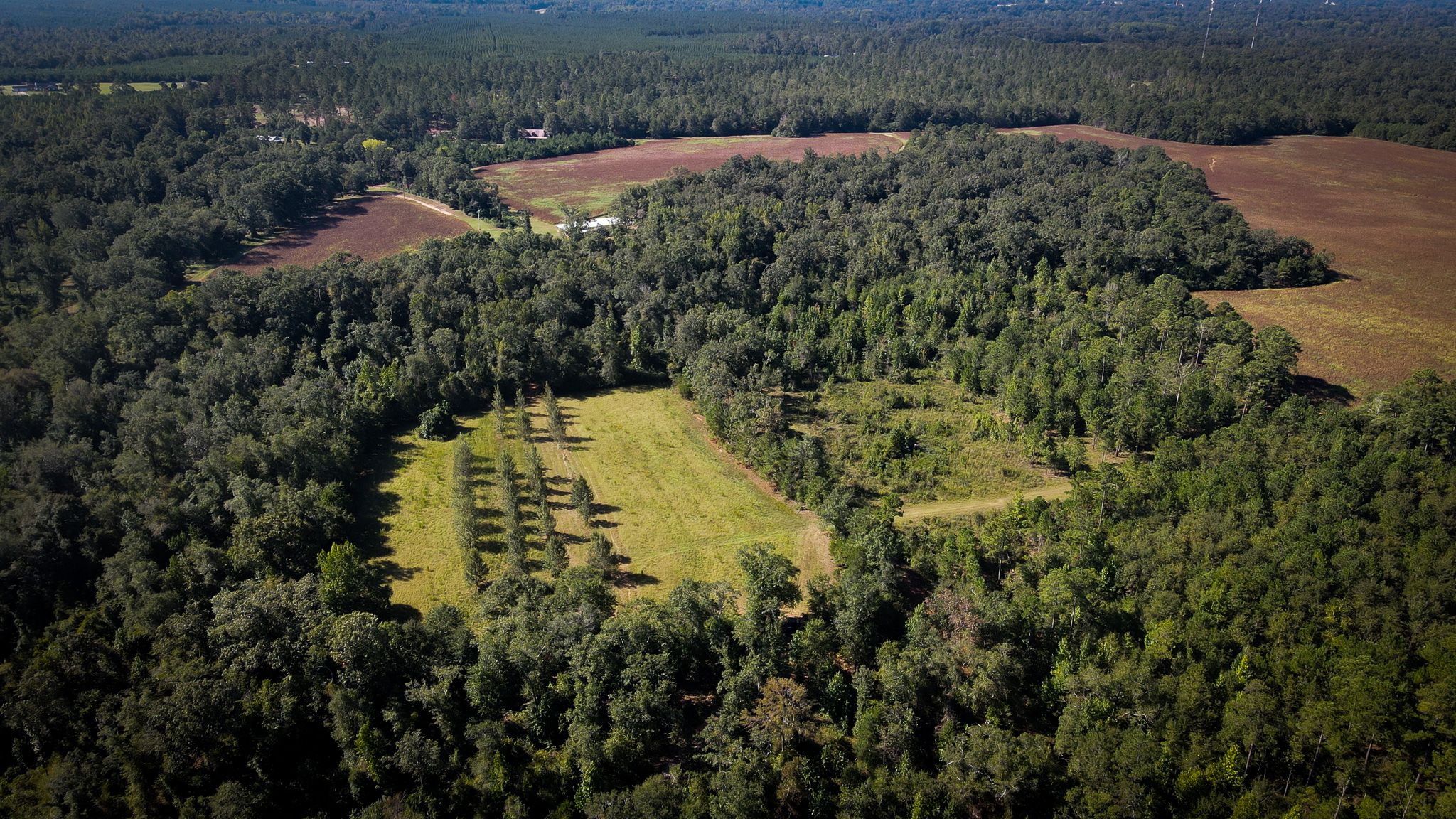 750 acres in Randolph County, Georgia