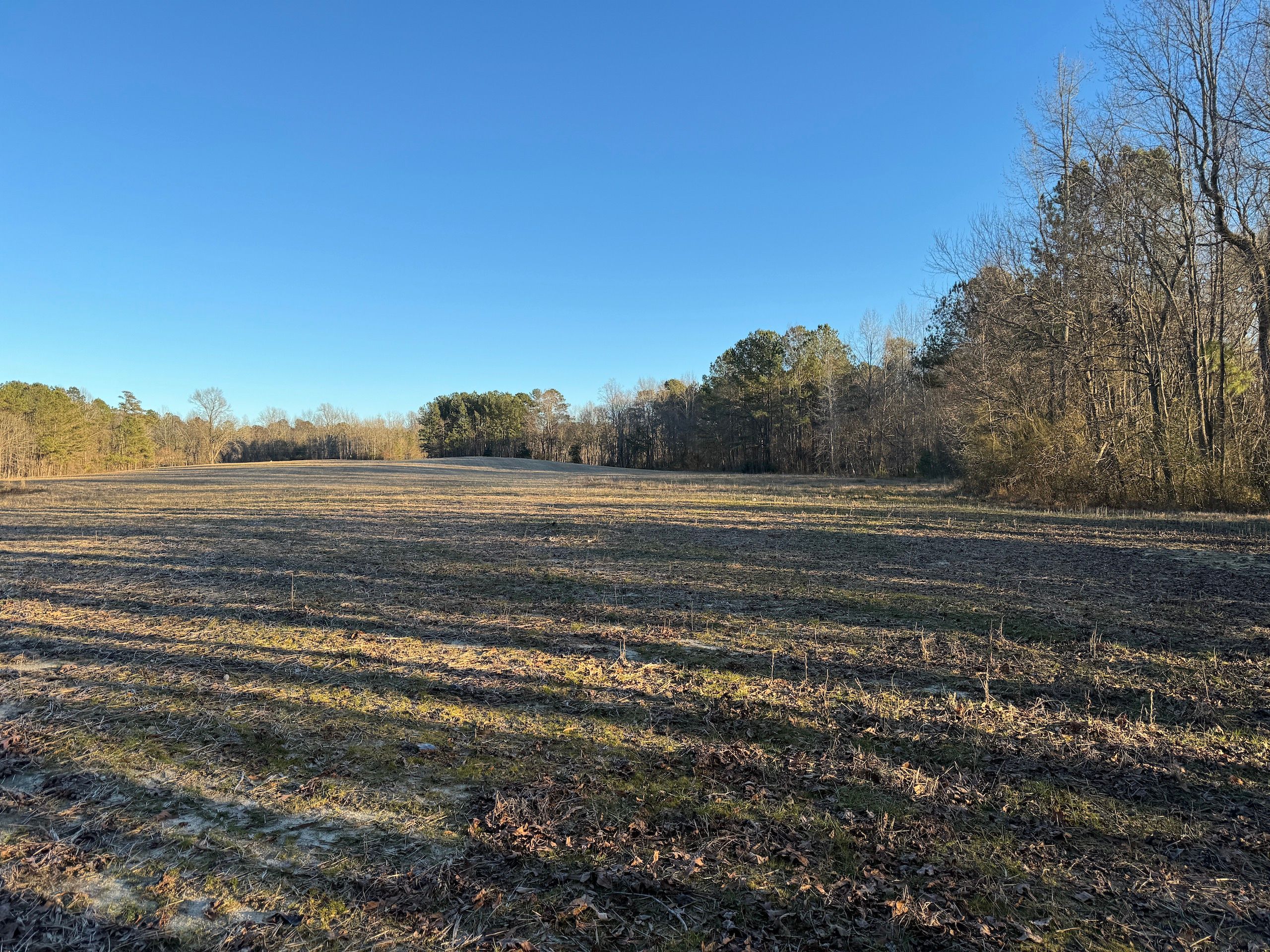 Off of Ferrell Road, Lot#Wp001, Zebulon, NC 27597 | Land.com
