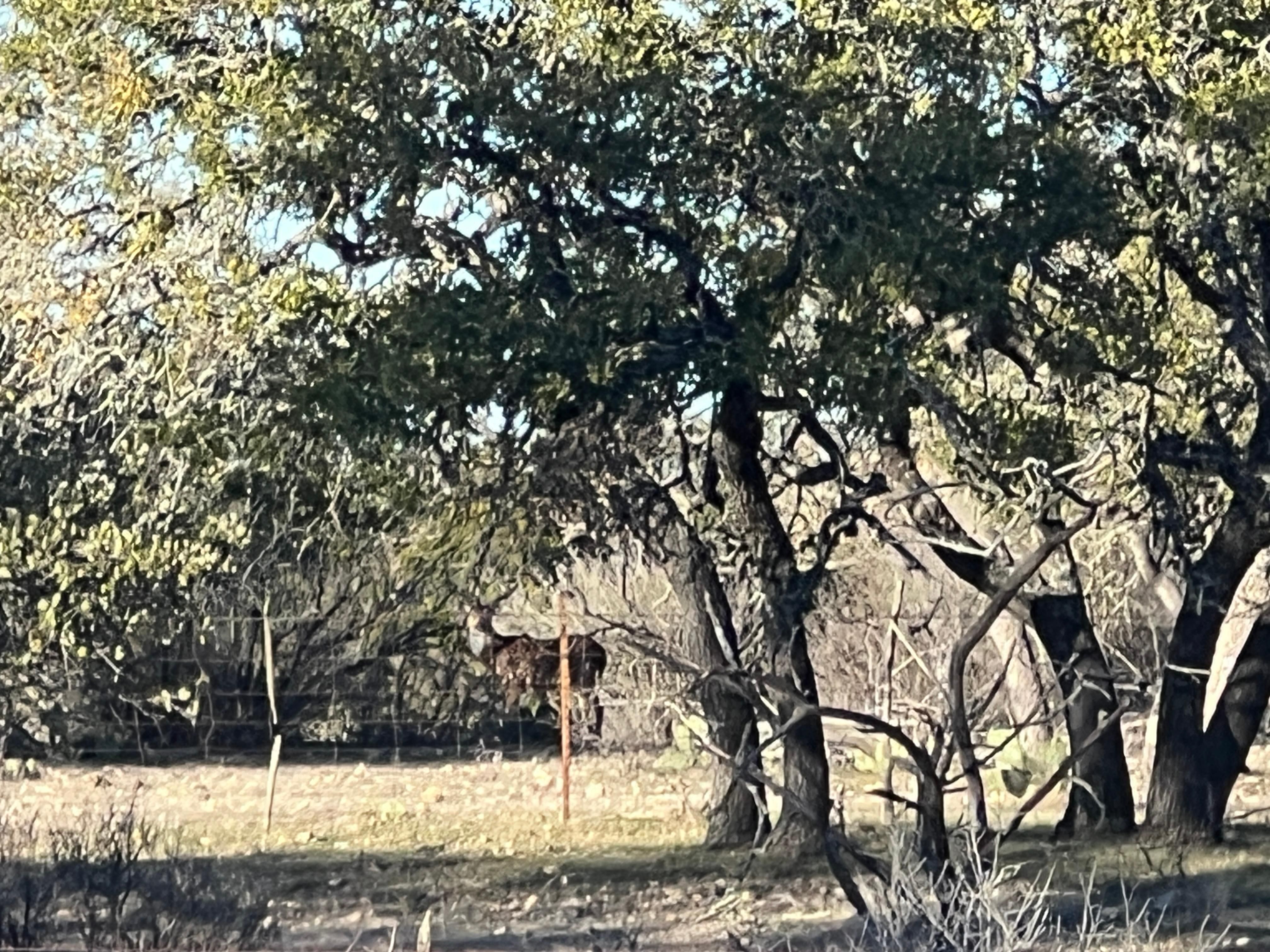 20 acres in Rocksprings, TX, 78880 | Land.com